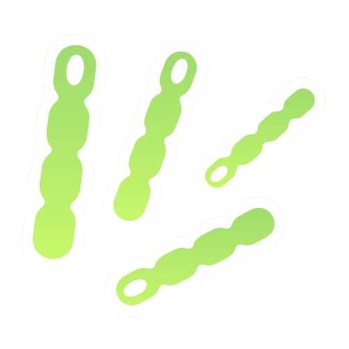 Cyanobacteria | Tracking Blooms to Protect Public Health — Charles ...