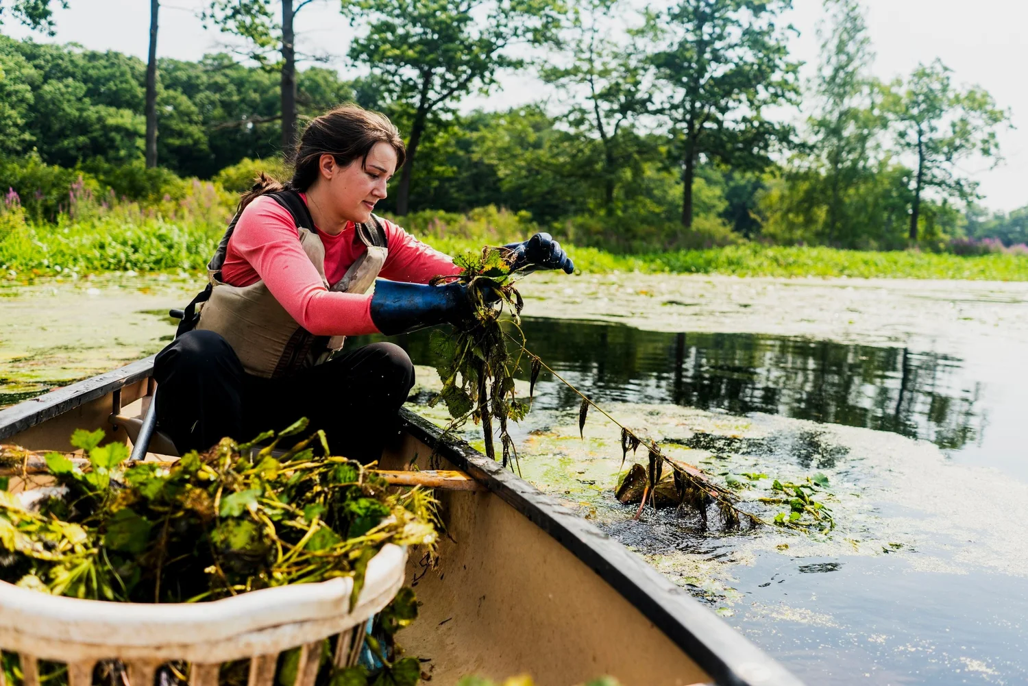 Charles River Watershed Association (CRWA)