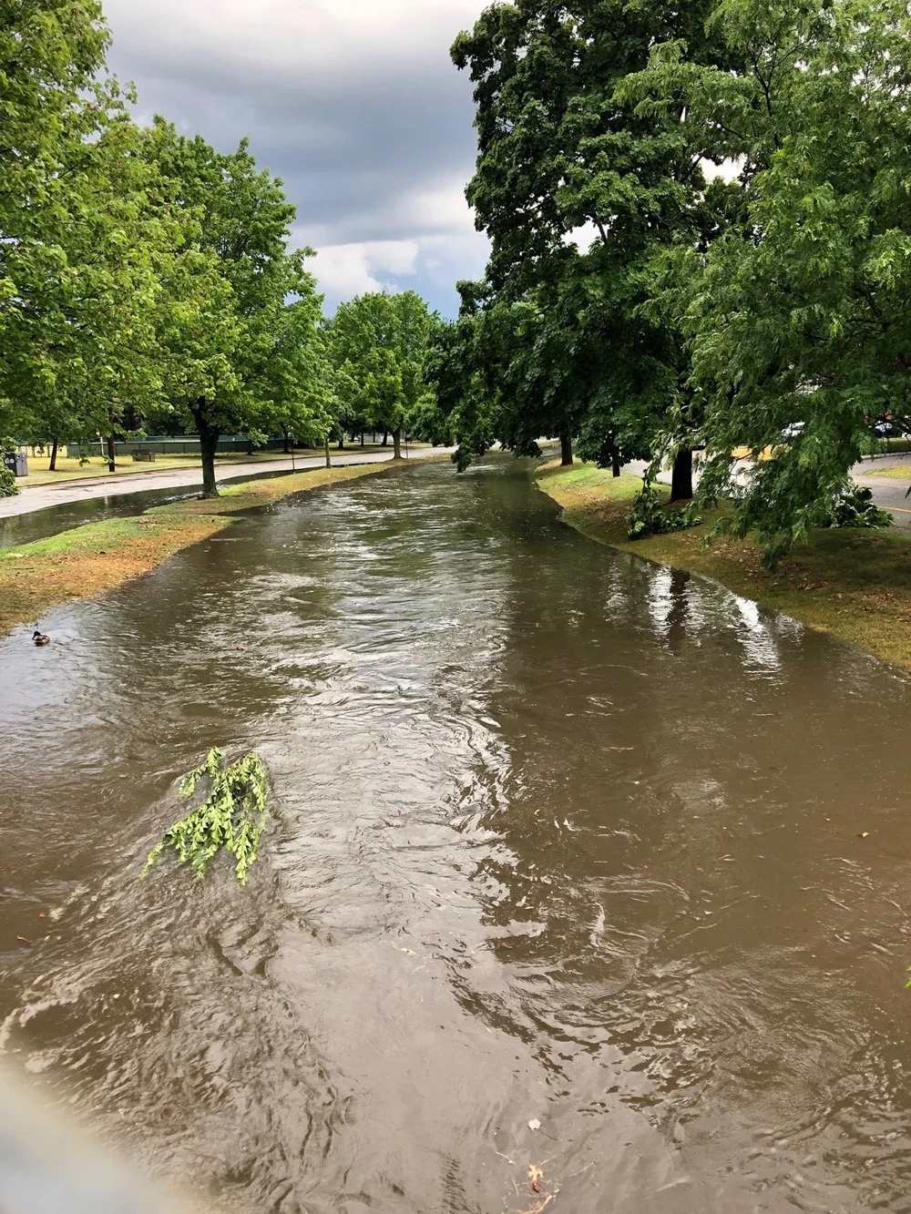 EVENTS — Charles River Watershed Association