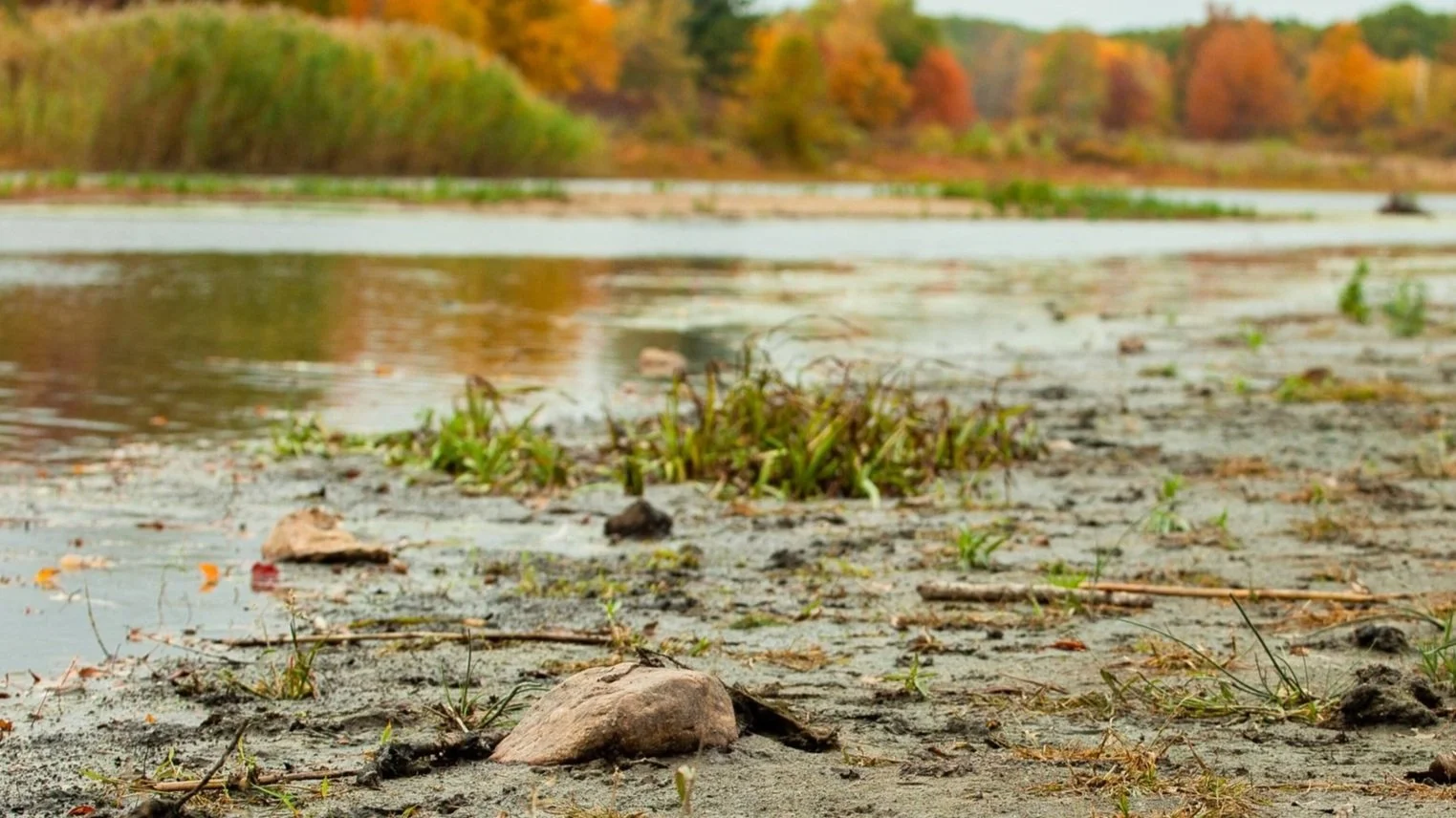 Legal Victory For Massachusetts Rivers — Charles River Watershed ...
