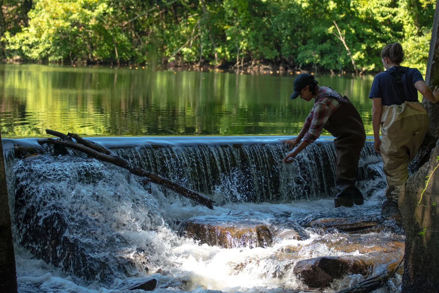 Dam Removal | Restoring a Free-Flowing, Resilient River — Charles River ...