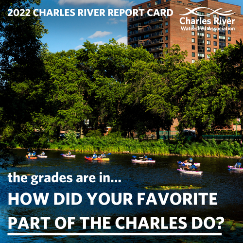 The grades are in–see how water quality fared in your favorite section ...