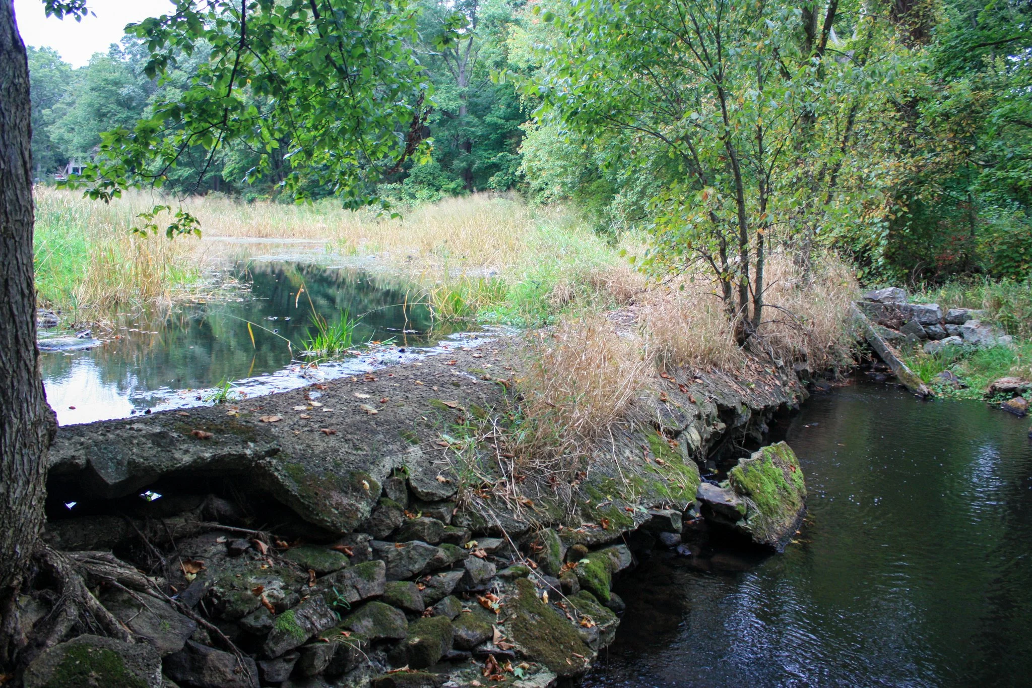 Dam Removal | Restoring a Free-Flowing, Resilient River — Charles River ...