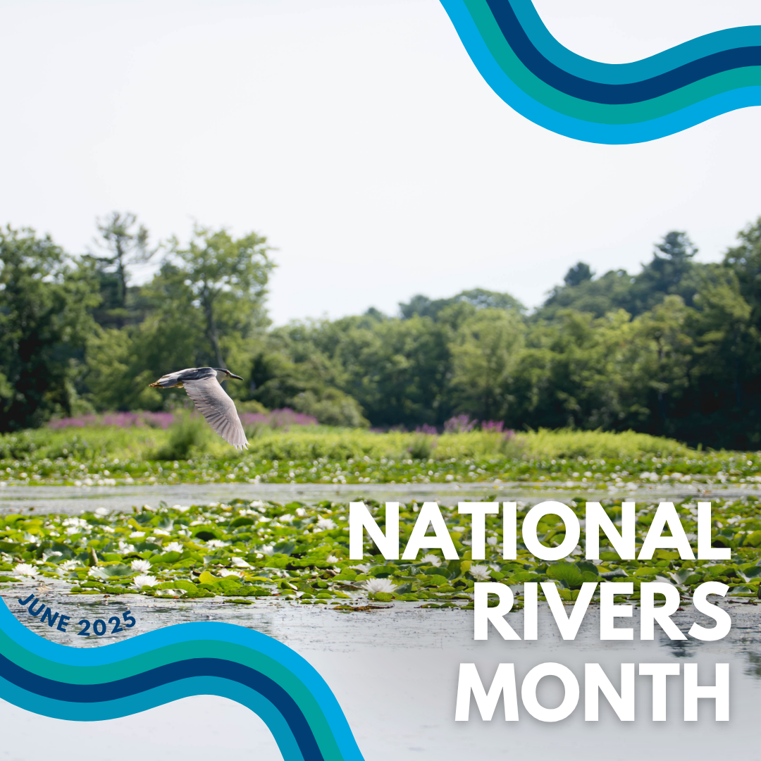Six Ways You Can Celebrate National Rivers Month — Charles River ...