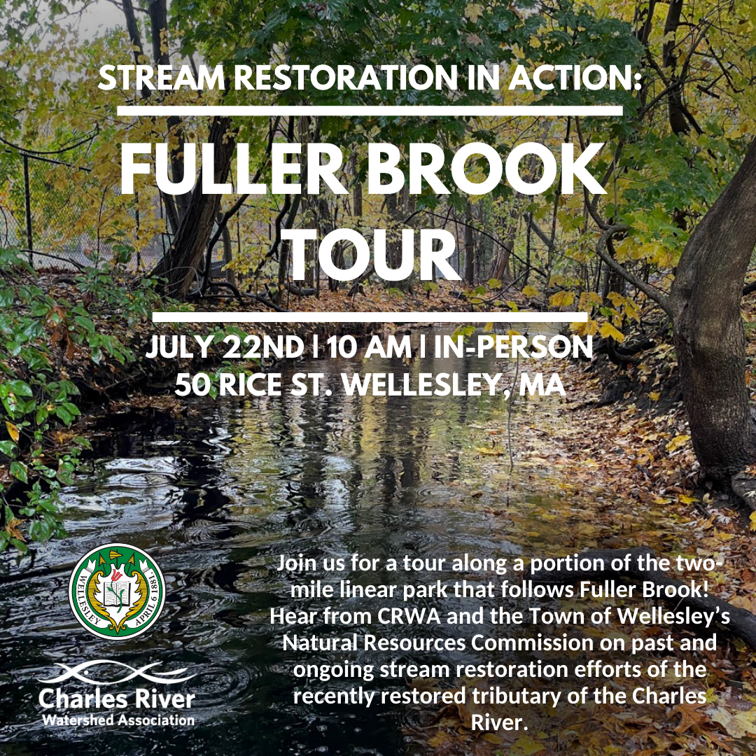 Stream Restoration in Action: Fuller Brook Tour — Charles River ...