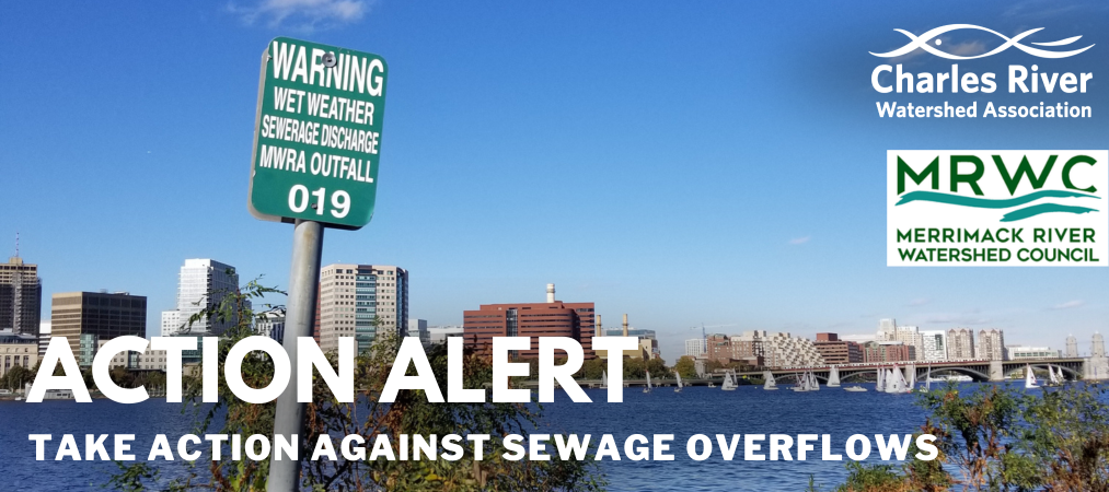 ACTION ALERT: Show your support for more testing after a CSO event ...