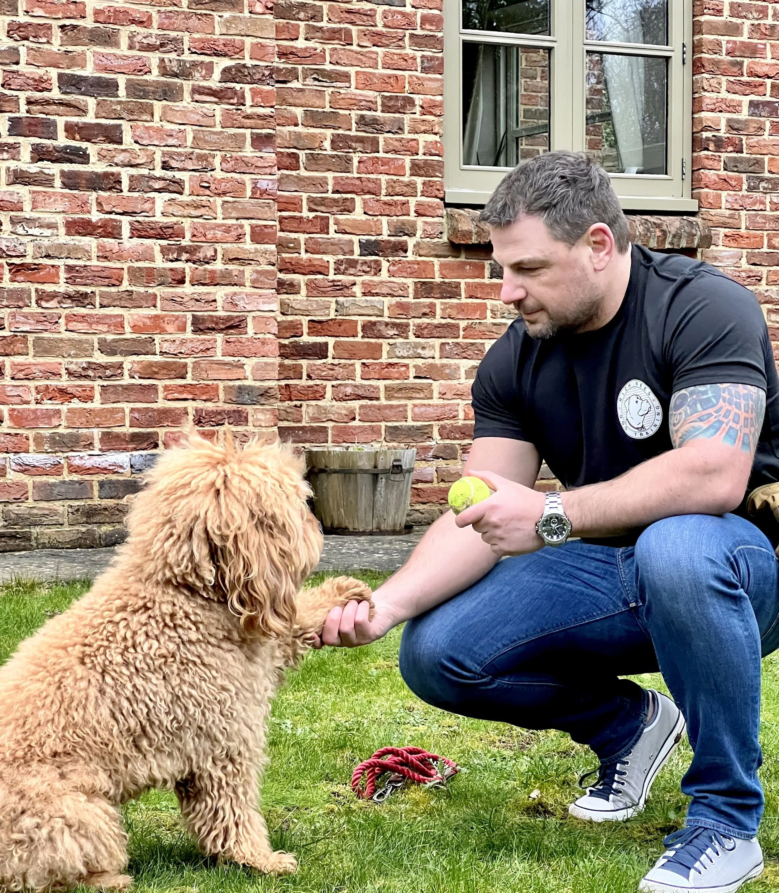Dog Trainer based in Newport, South Wales - Rich Rees Dog Training