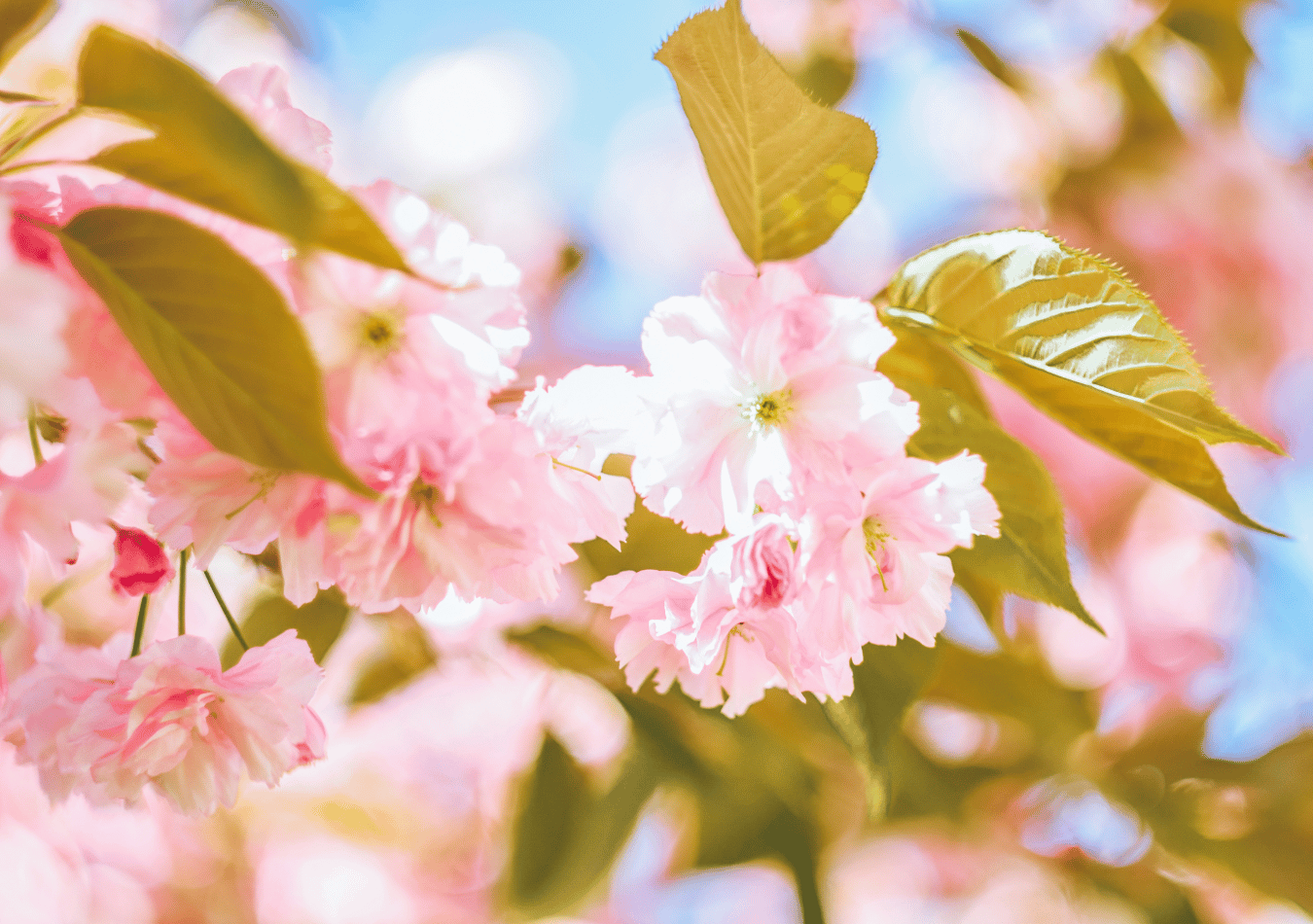 How Much Does EMDR Therapy Cost in California? — Worth and Wellness