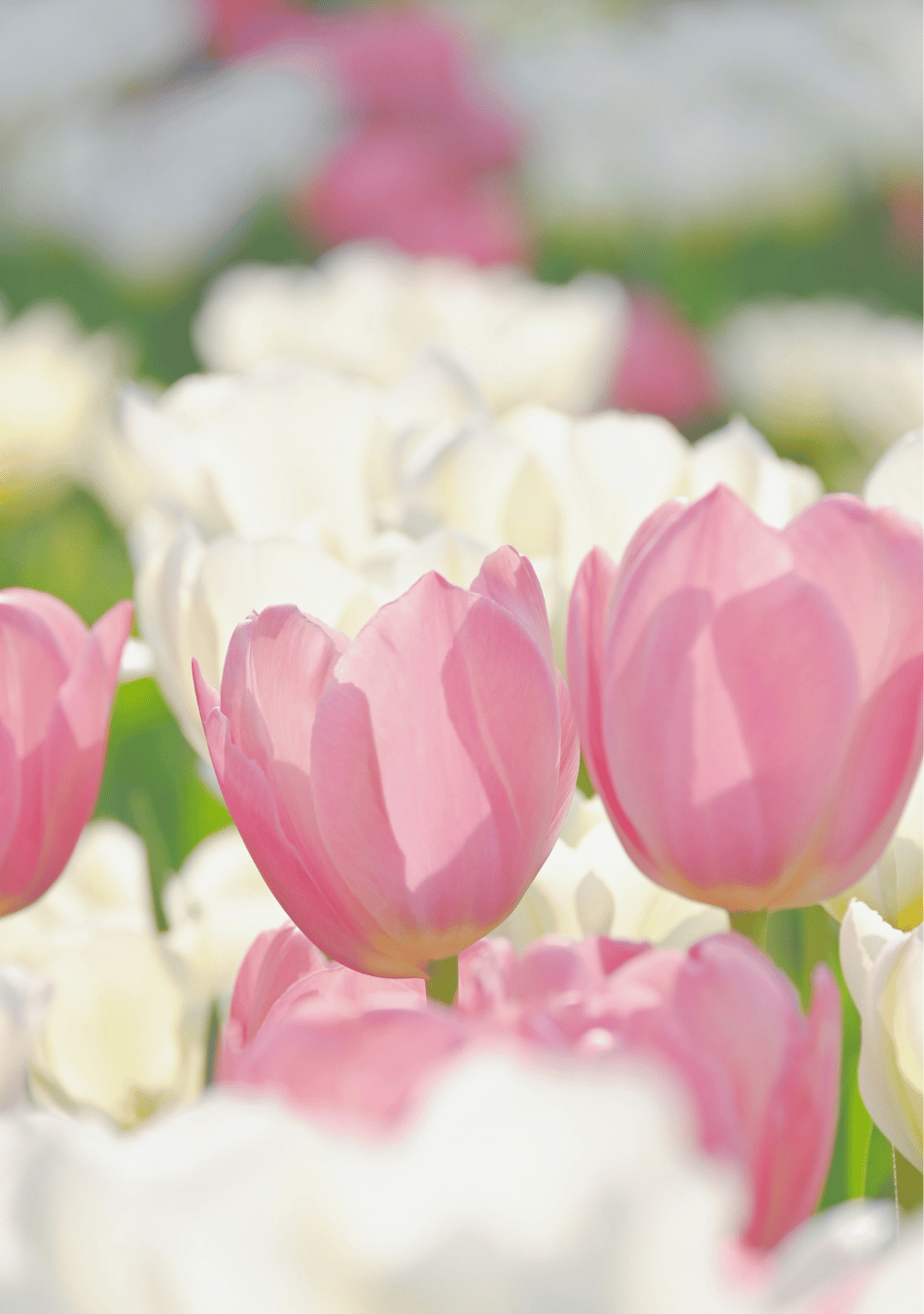 How Much Does EMDR Therapy Cost in California? — Worth and Wellness