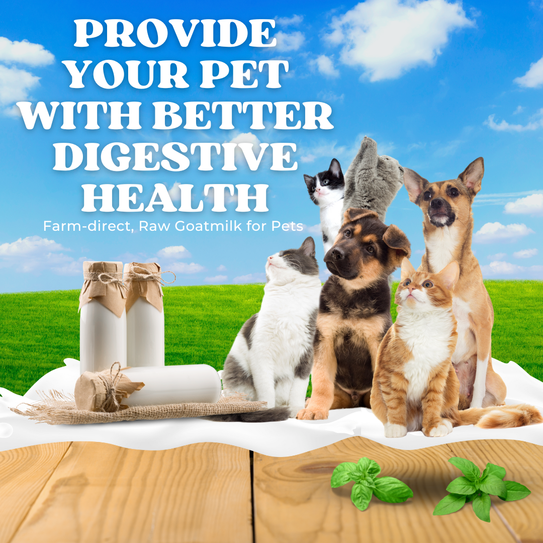 Samples — Pixel Marketing LLC