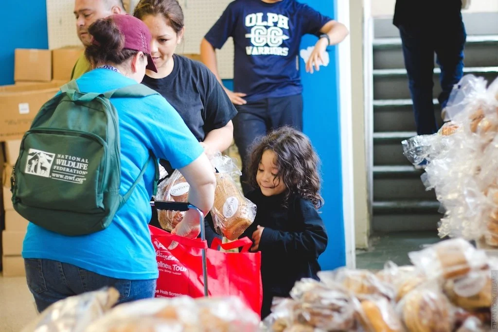 The Impact of Generosity — One Collective