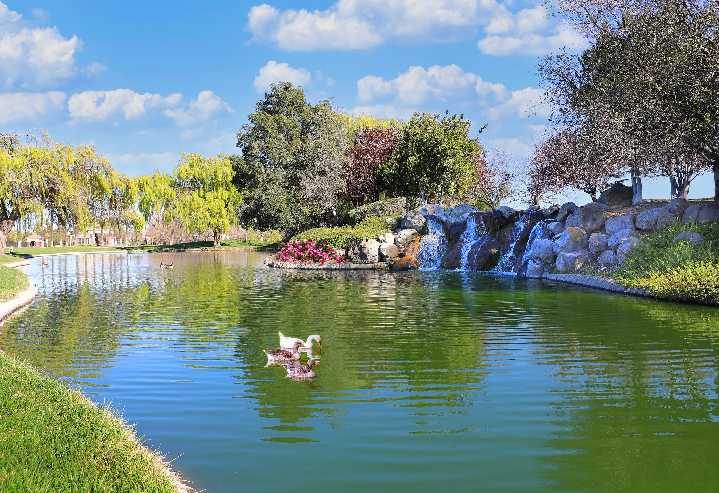 Trilogy at Rio Vista Homes For Sale - Shafer Real Estate