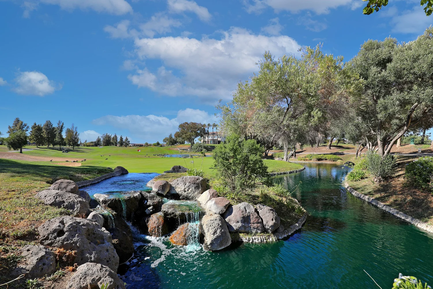 Map of Trilogy | Discover and Explore - Contact Us Today — Shafer Real ...