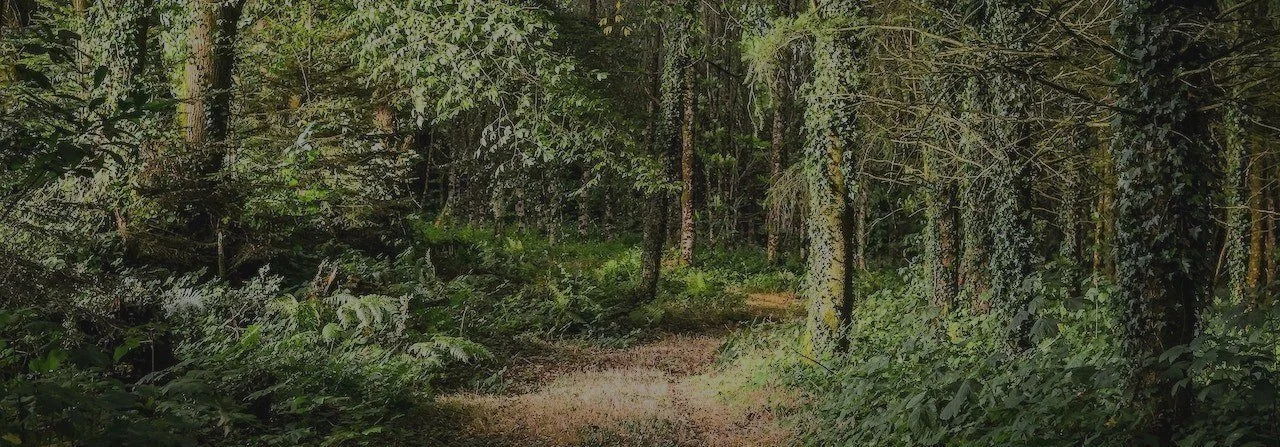 Encompass Counseling | Ridgefield, CT | South Kingstown, RI