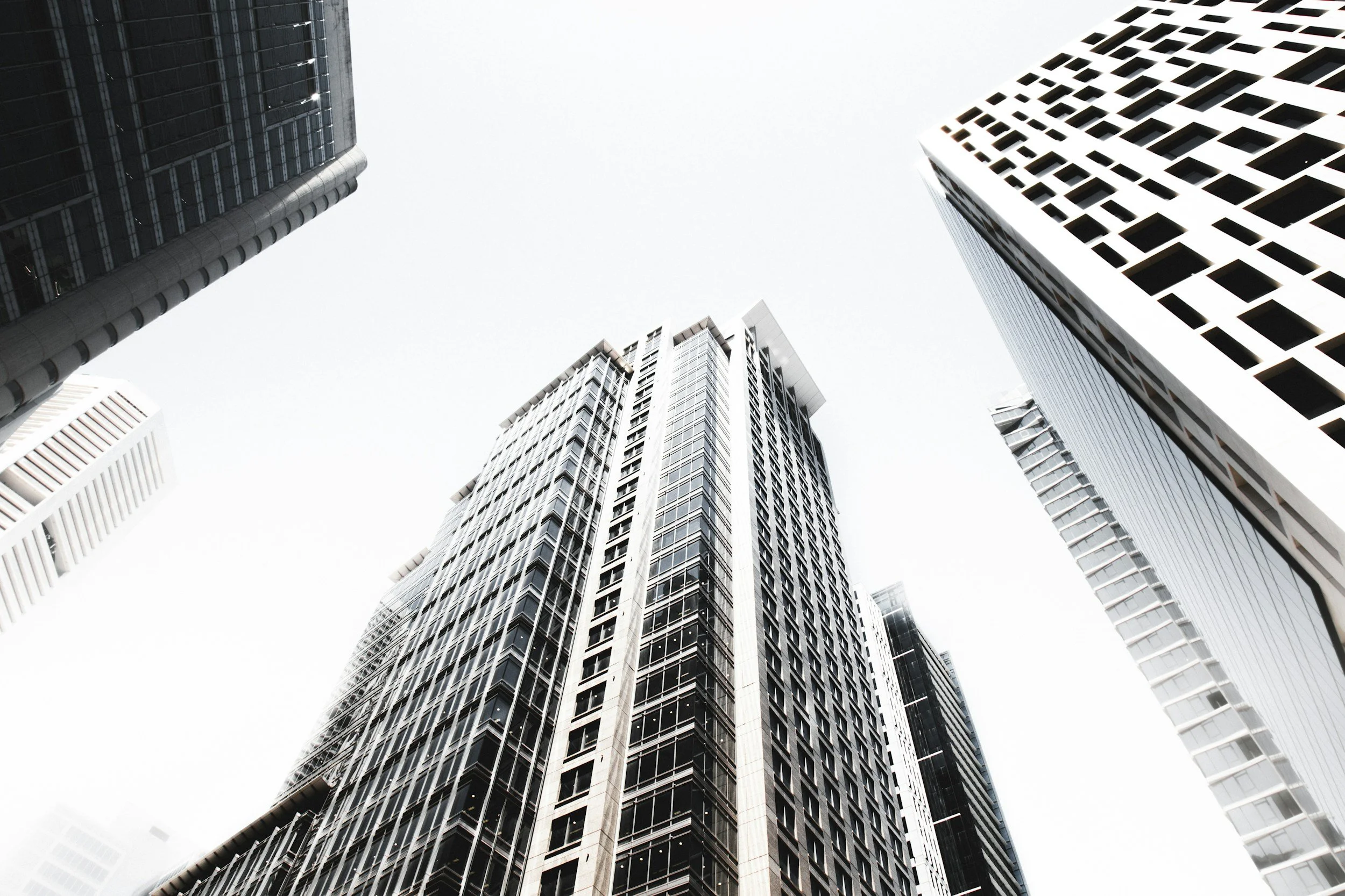 Asset Management — Trim Capital