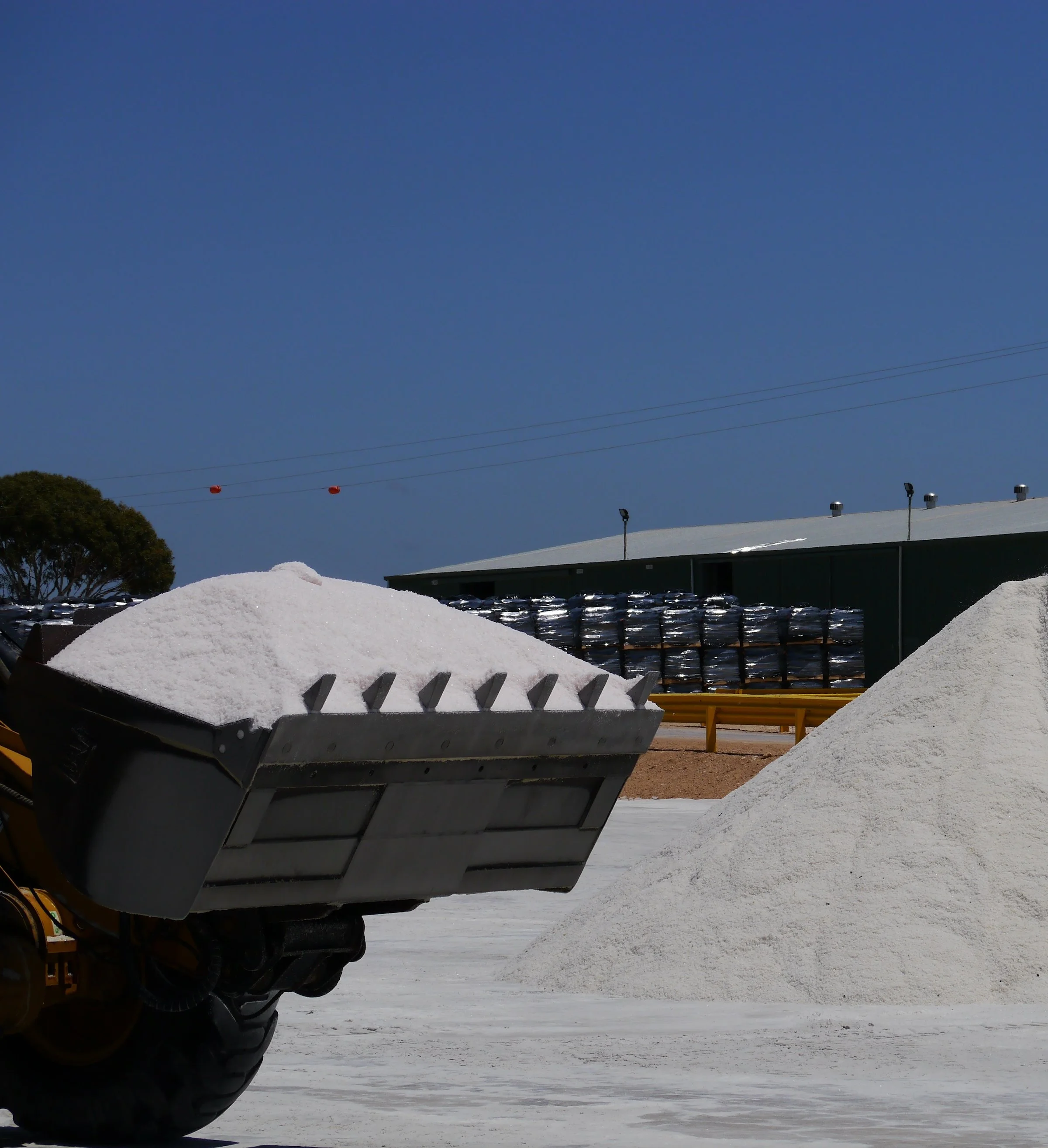 Our Business — Australian Saltworks