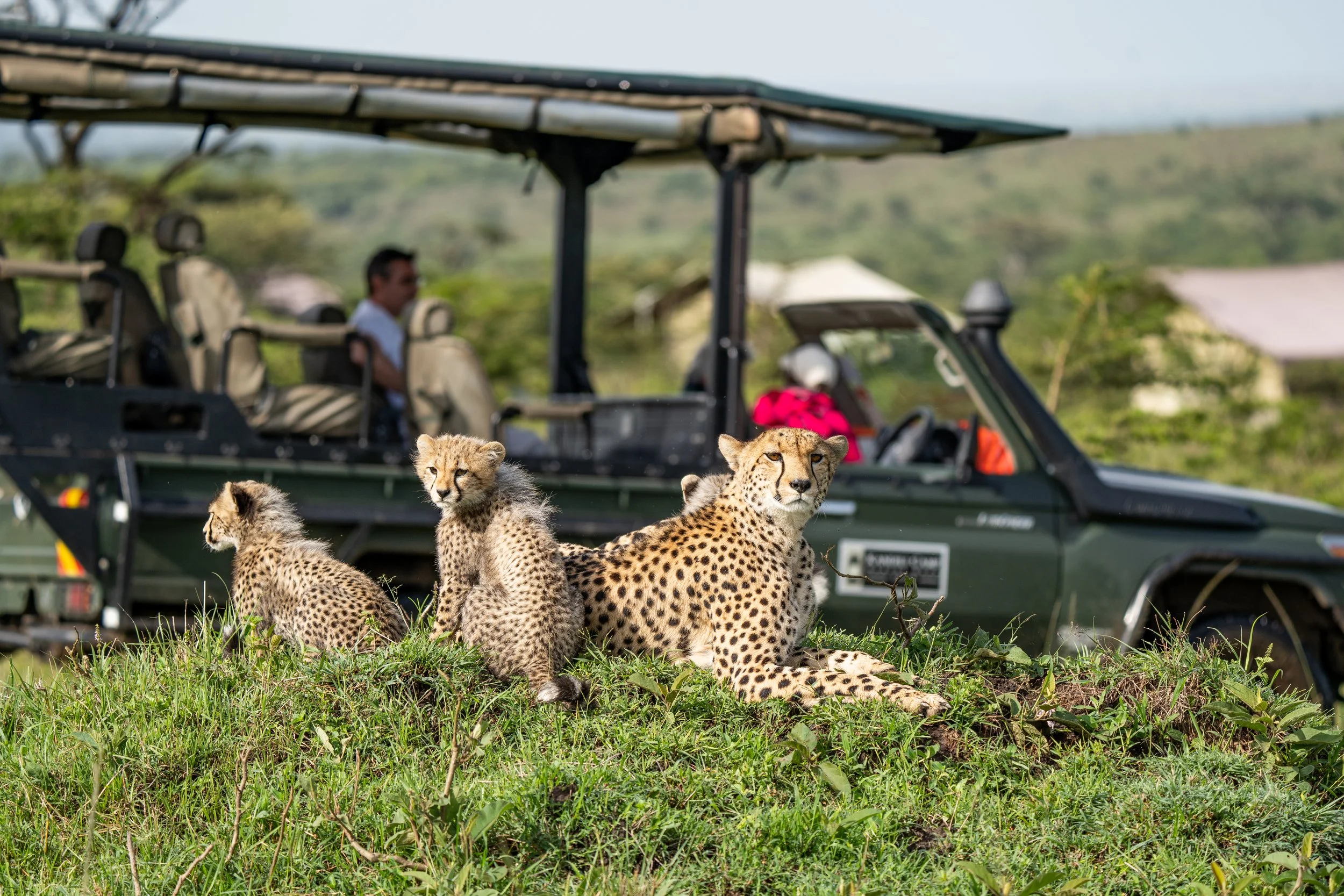 The Camp — Kandili Camp