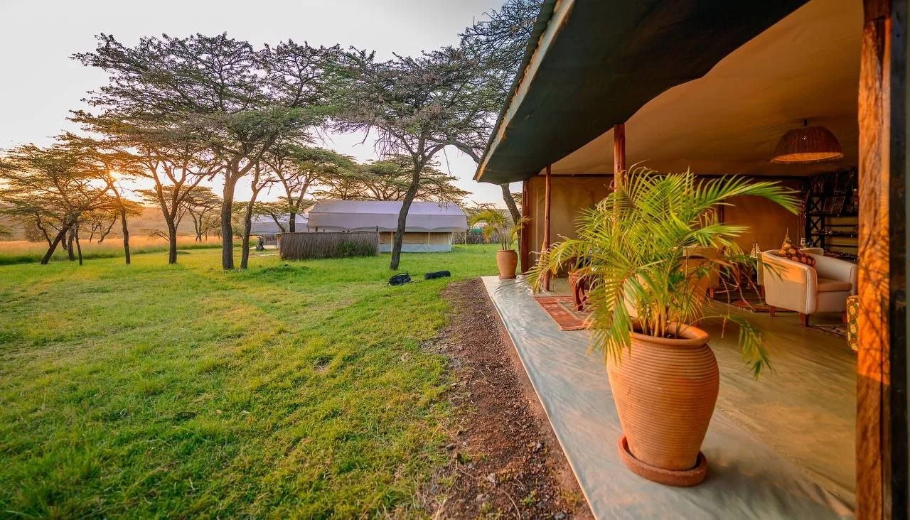 Gallery — Kandili Camp