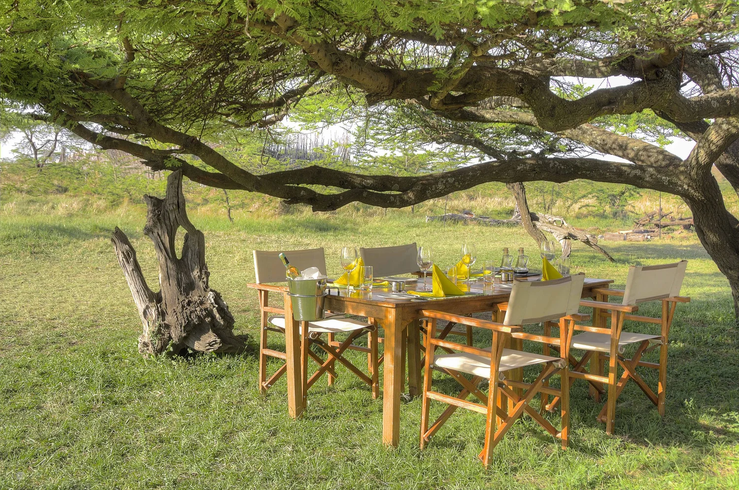 The Camp — Kandili Camp