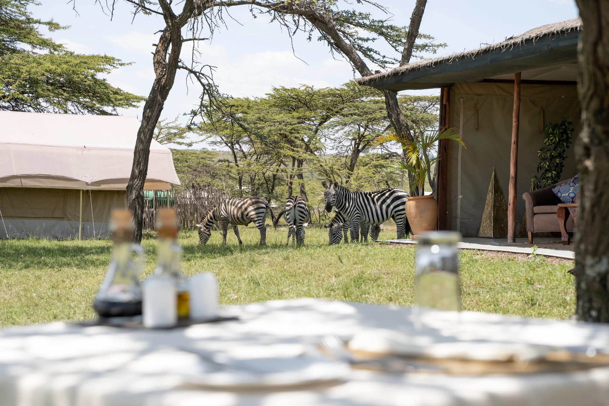 Gallery — Kandili Camp