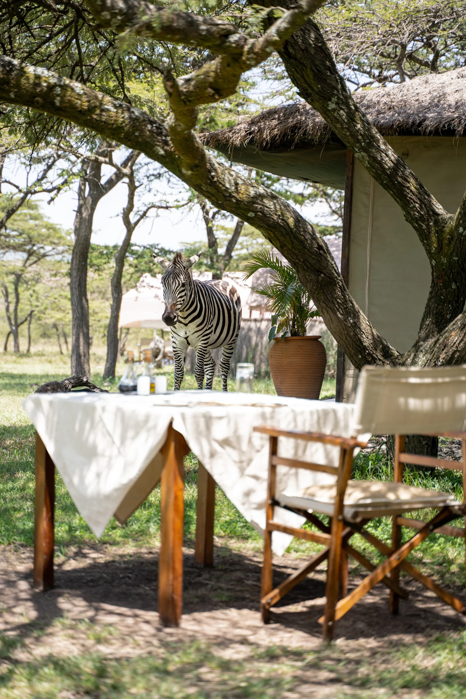 Kandili Camp