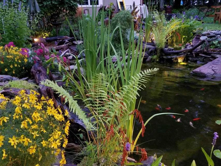 Ground FX Landscaping and Water Features Case Study — Charlotte Content ...