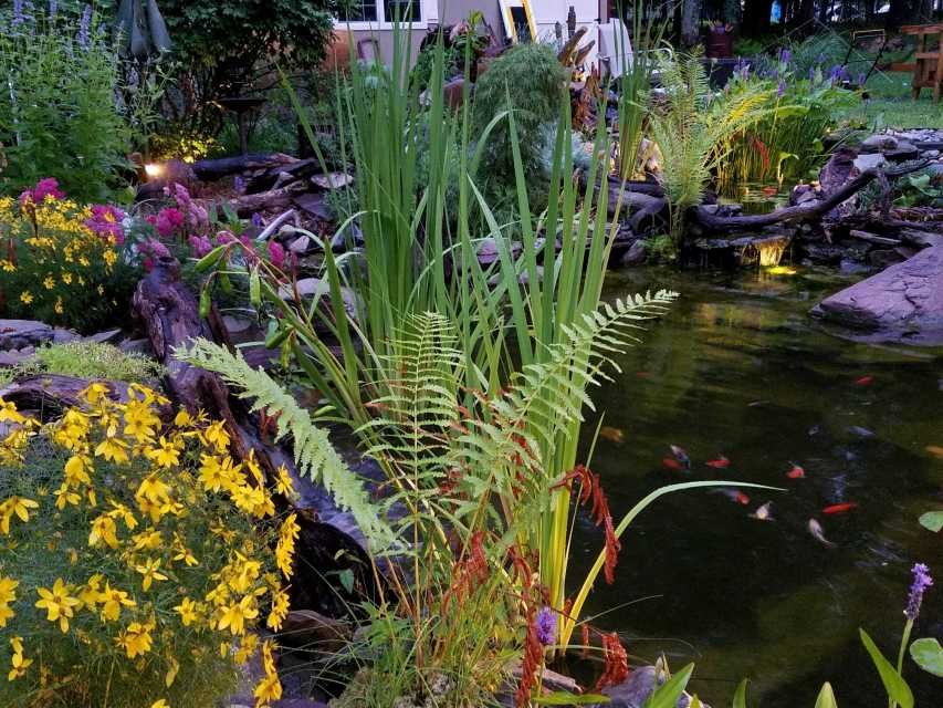 Ground FX Landscaping and Water Features Case Study — Charlotte Content ...