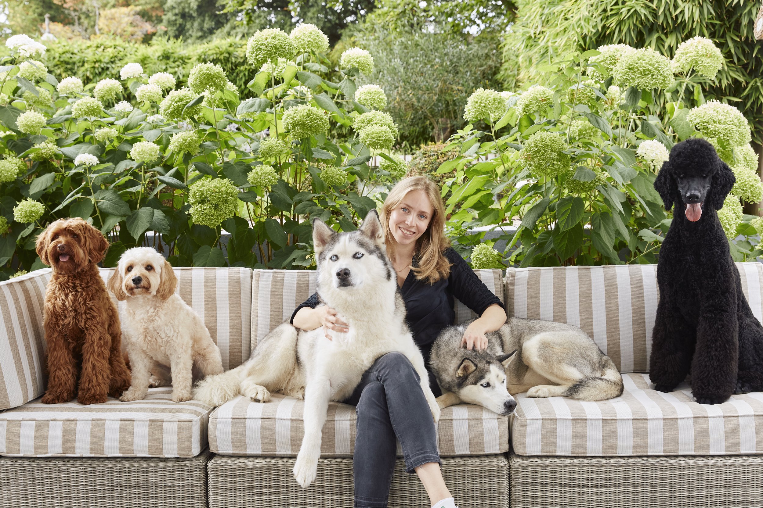 George's Dog Boutique and Grooming