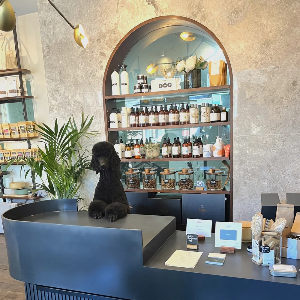 George's Dog Boutique and Grooming