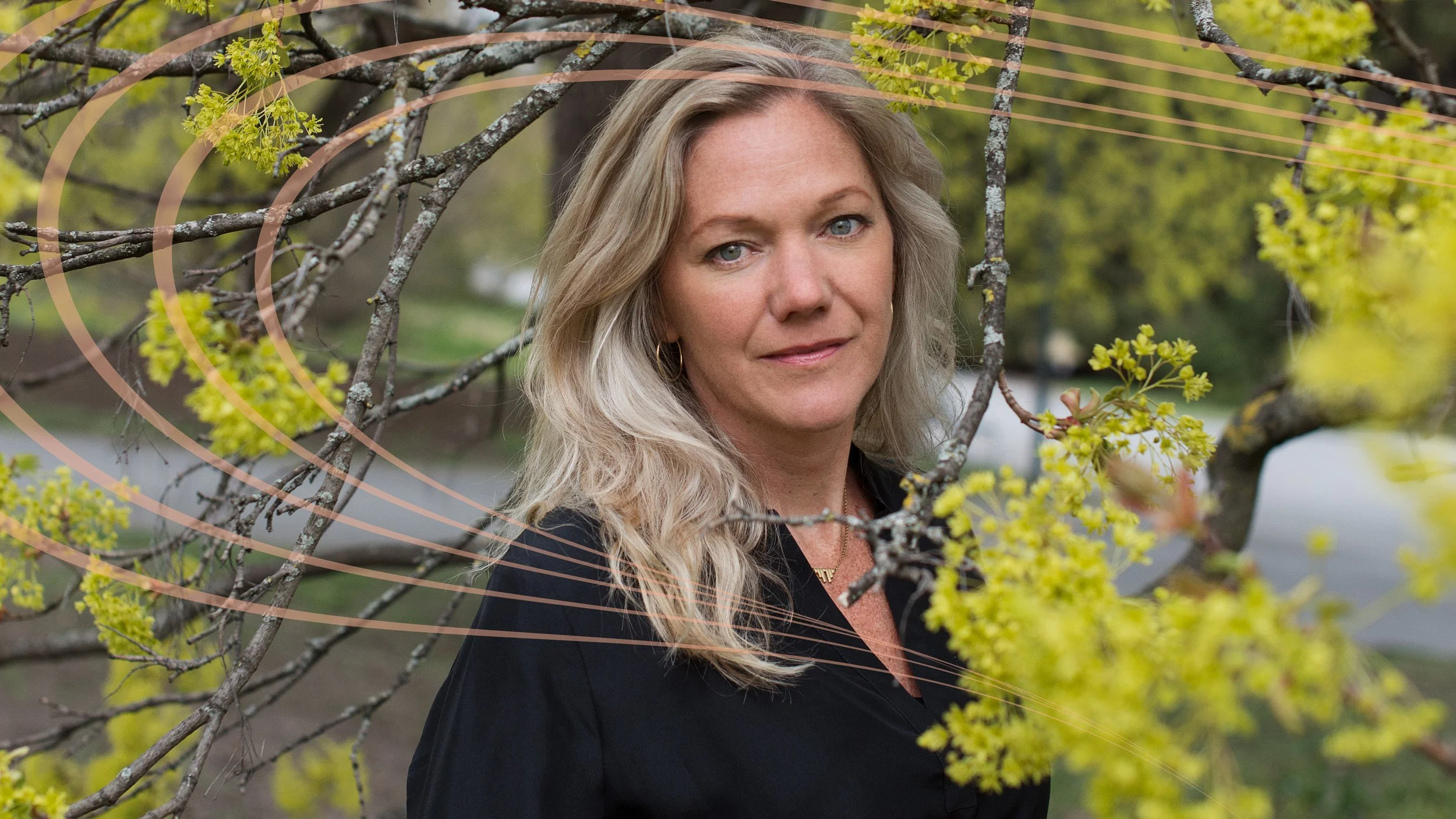 Klassisk — Stormen Konserthus