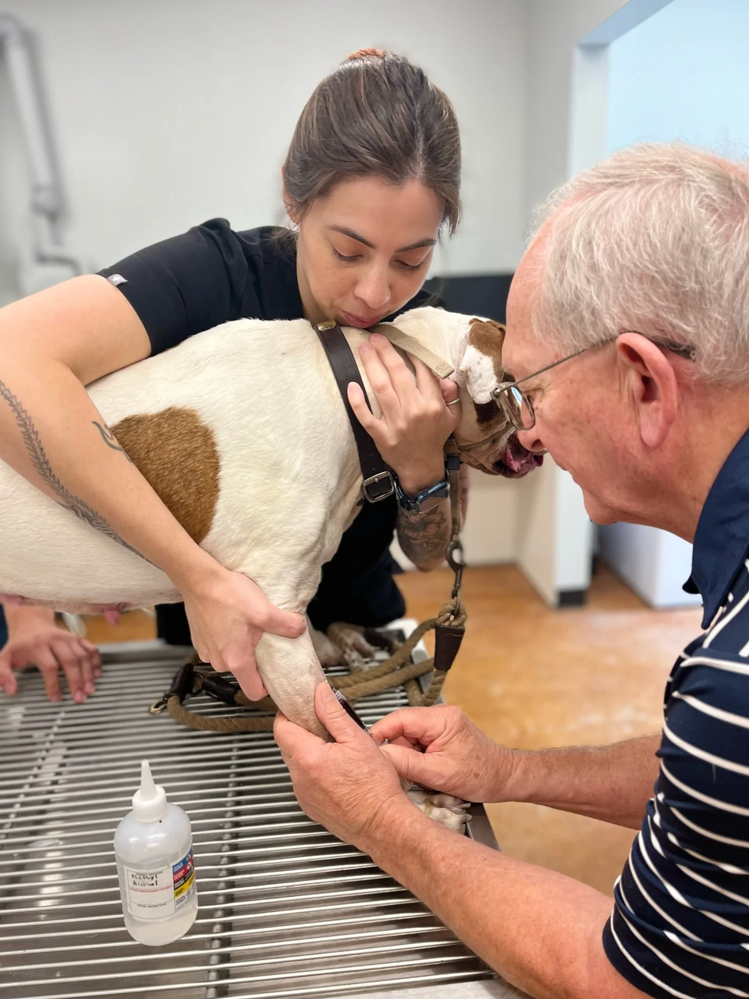 Prairie Creek Animal Hospital