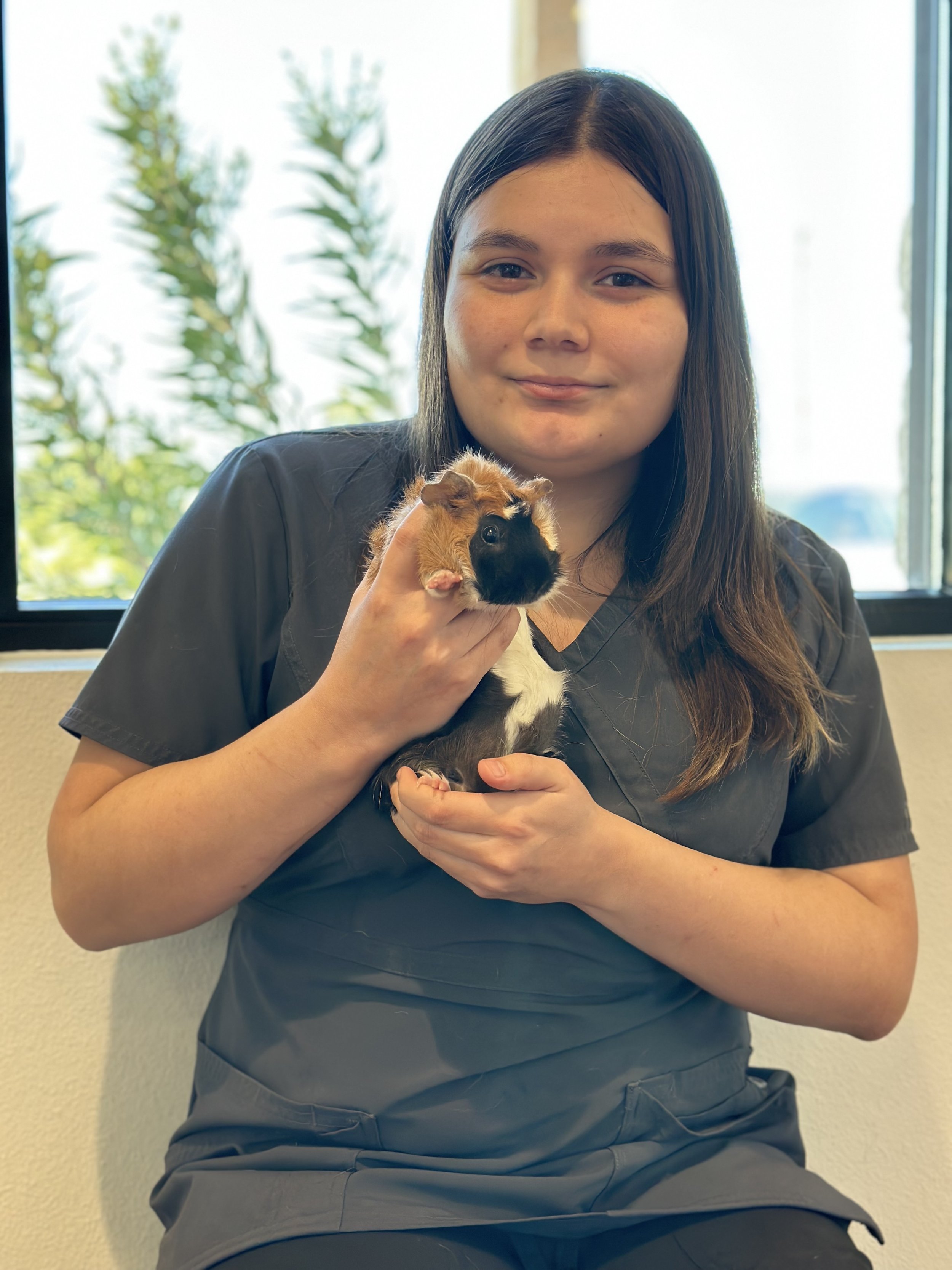 Services 4 — Prairie Creek Animal Hospital
