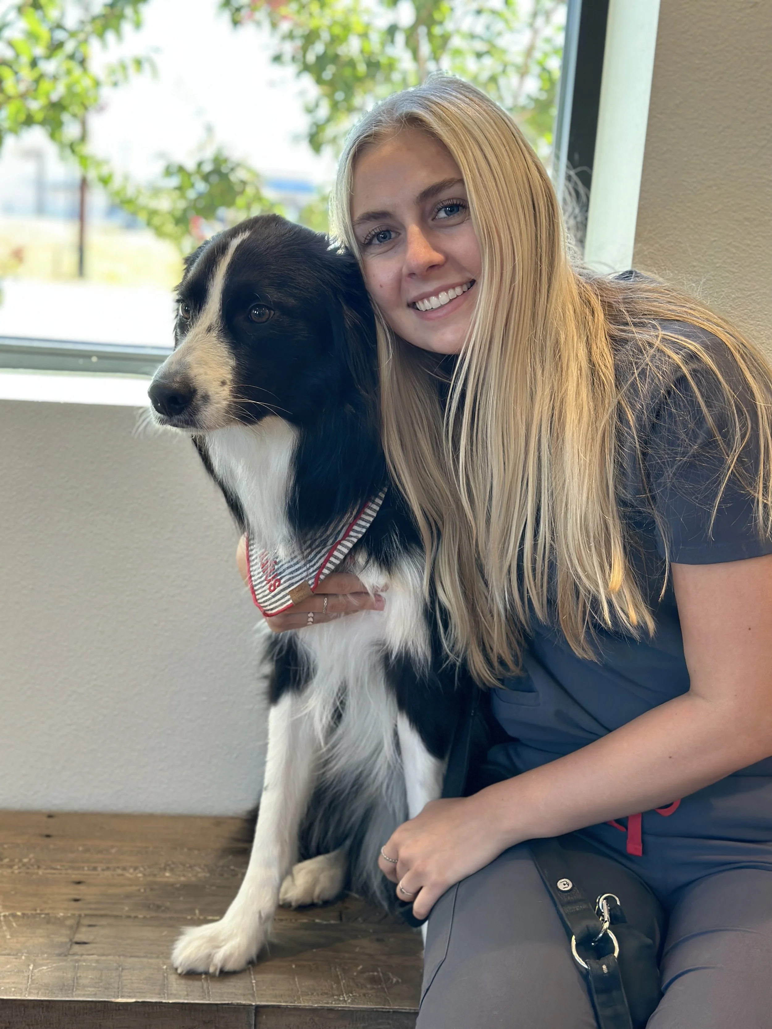 Services 4 — Prairie Creek Animal Hospital