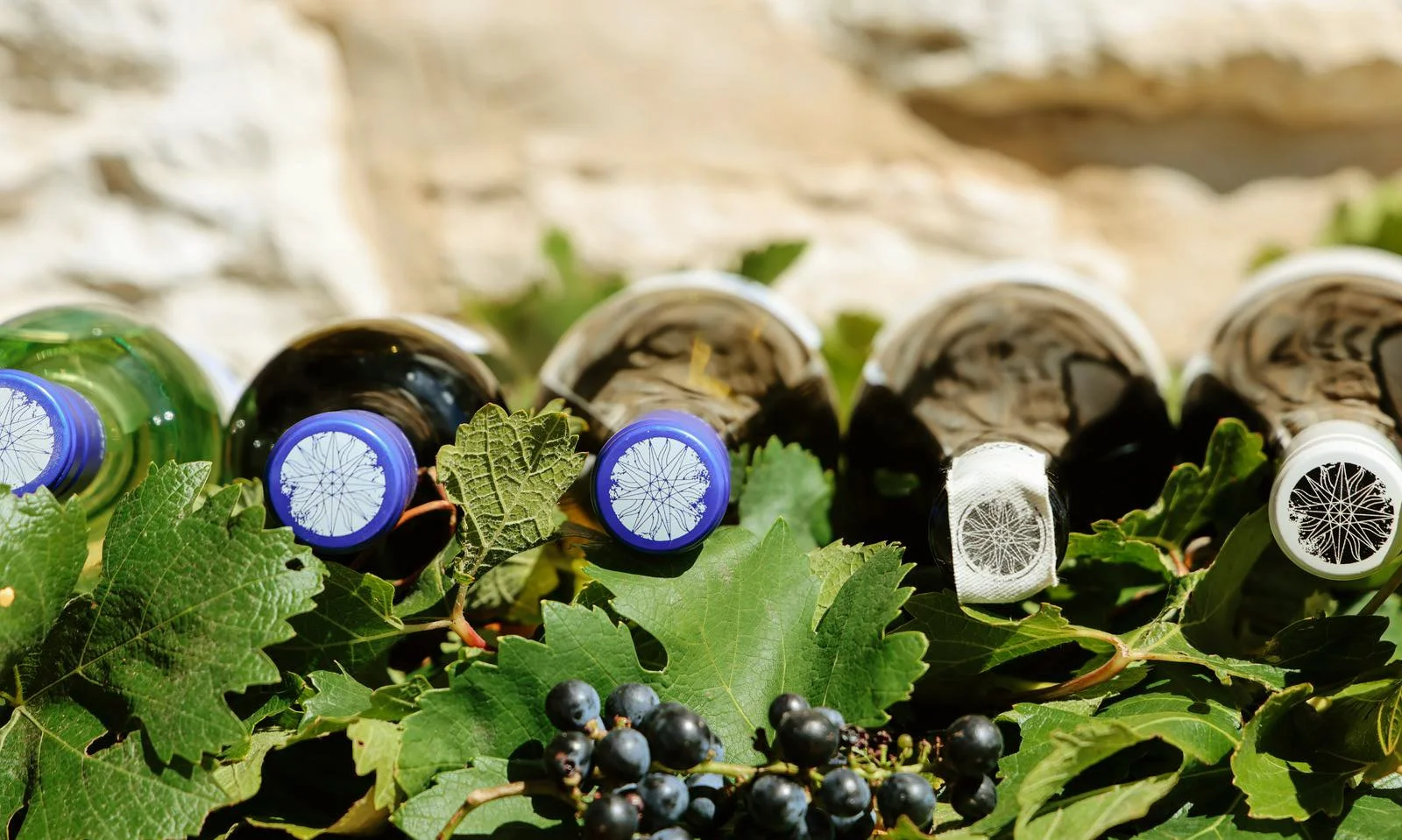 Cape Jaffa Wines ~ The Limestone Coast | Cape Jaffa Wines | Robe | SA ...