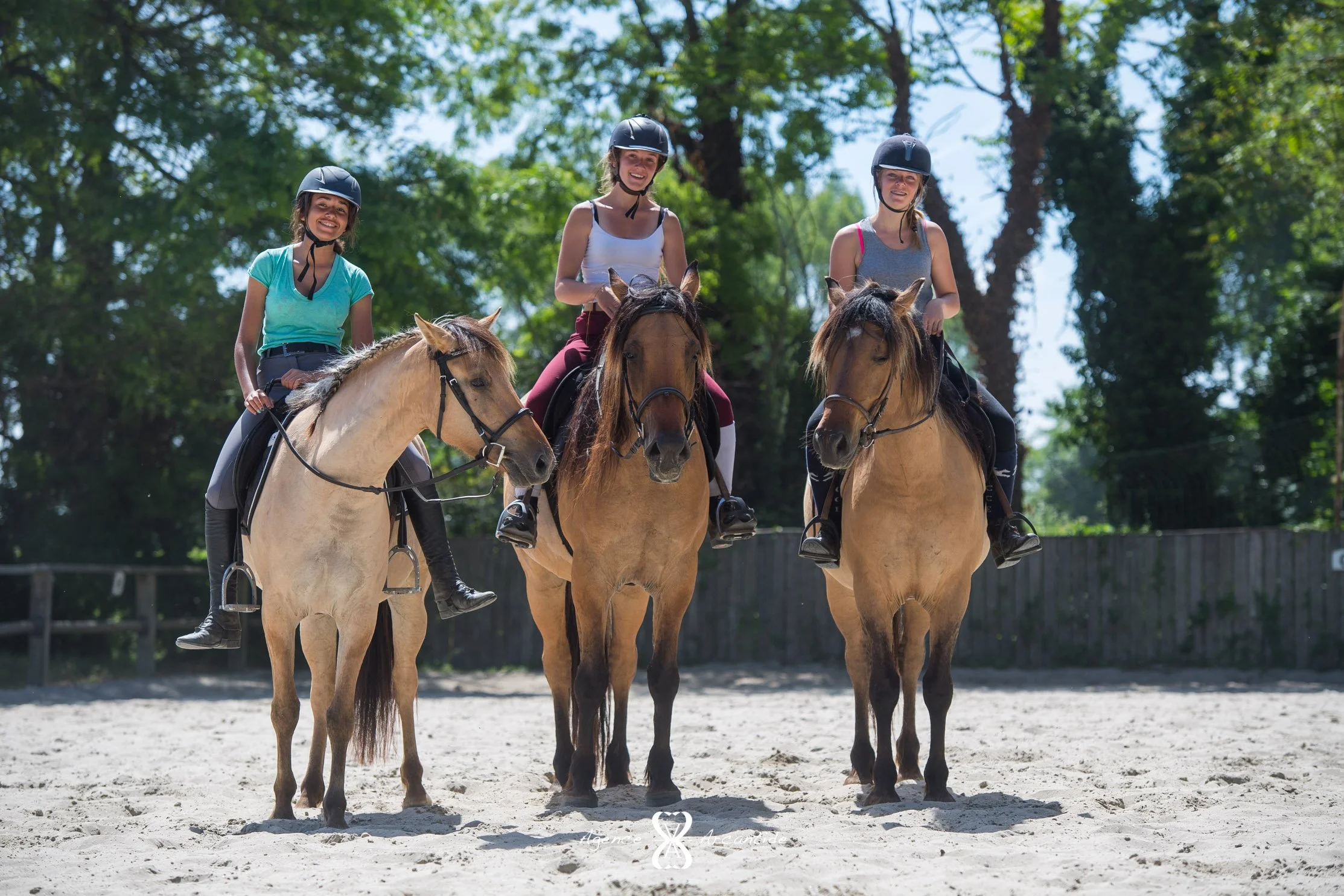 ENOWOOD - Domaine équestre de la Croix Sainte Marthe 77