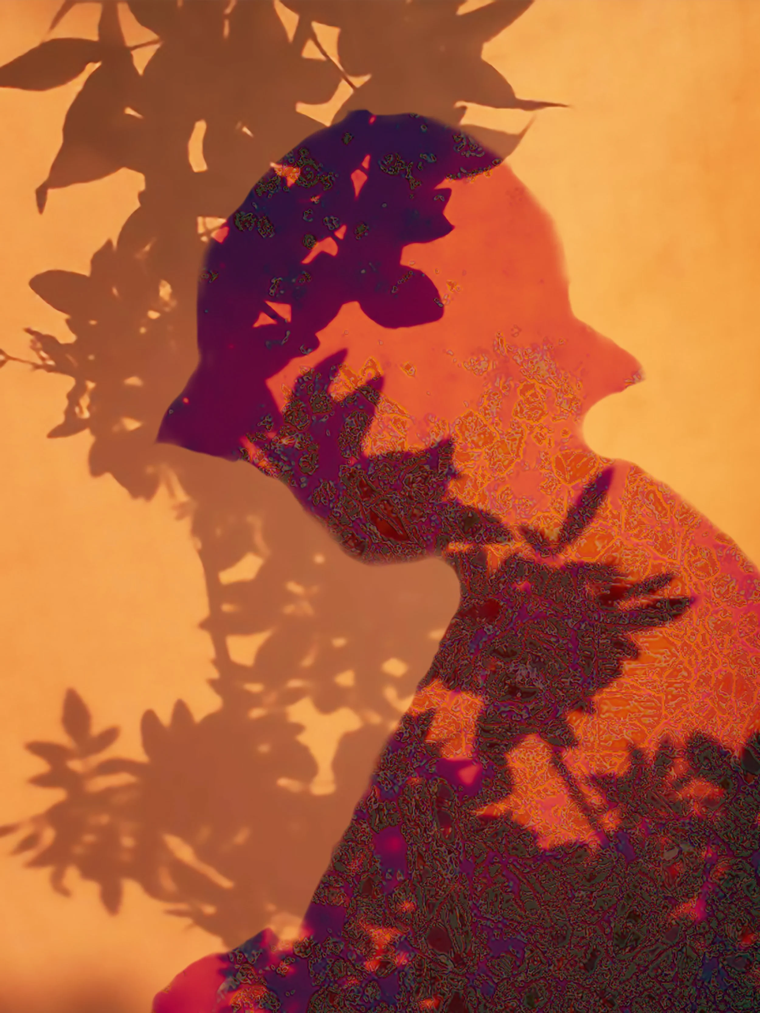 Monochromatic Virtual Exhibition — Photo Trouvée Magazine