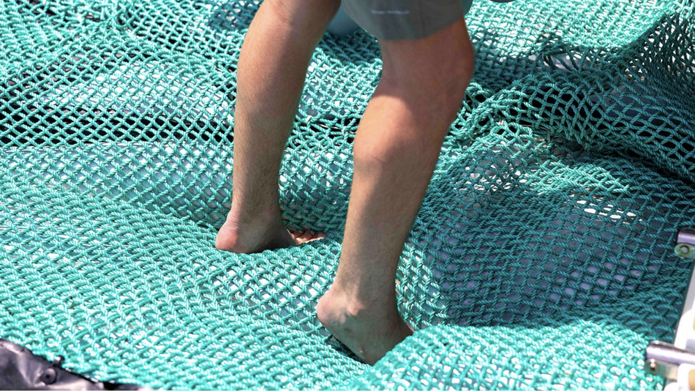 Revolutionary SeaPen — Solstice Docking Solutions
