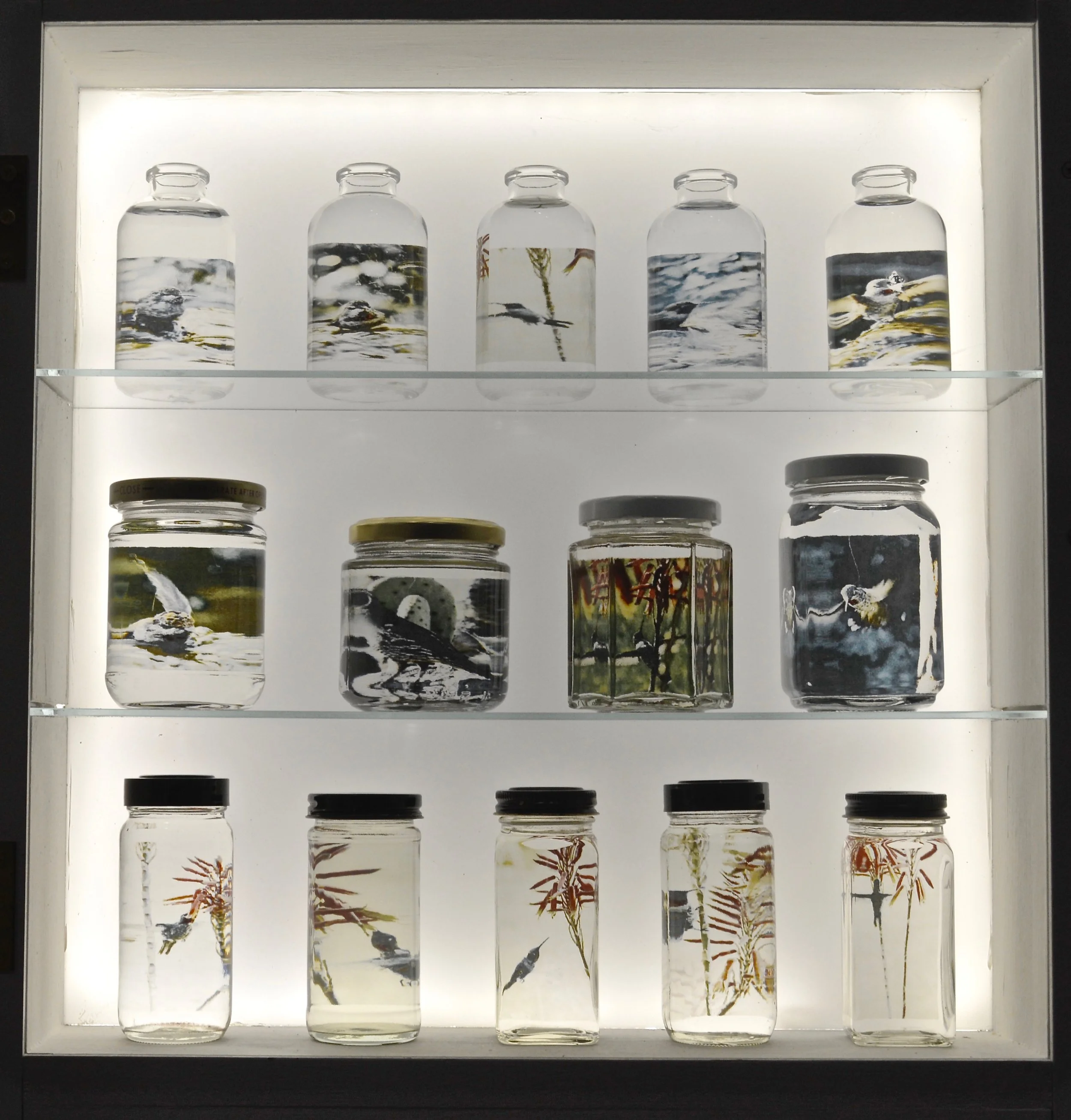 Our Mission — A PLACE of Her Own