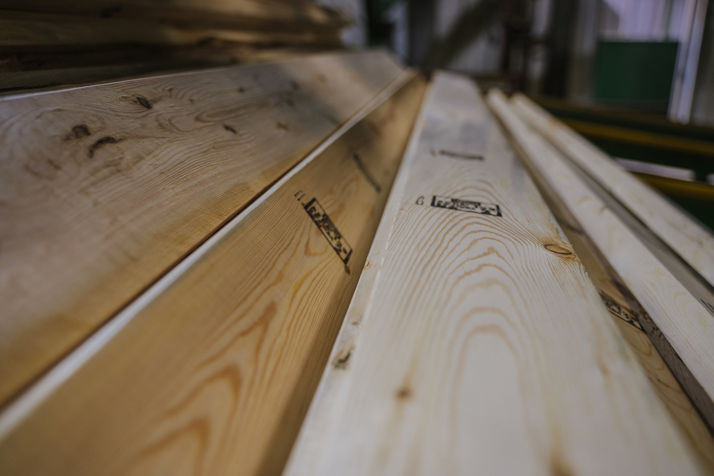 Good Things Come From Trees