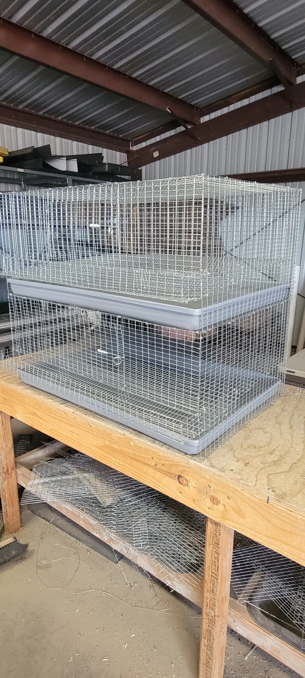 Quail Cage Size
