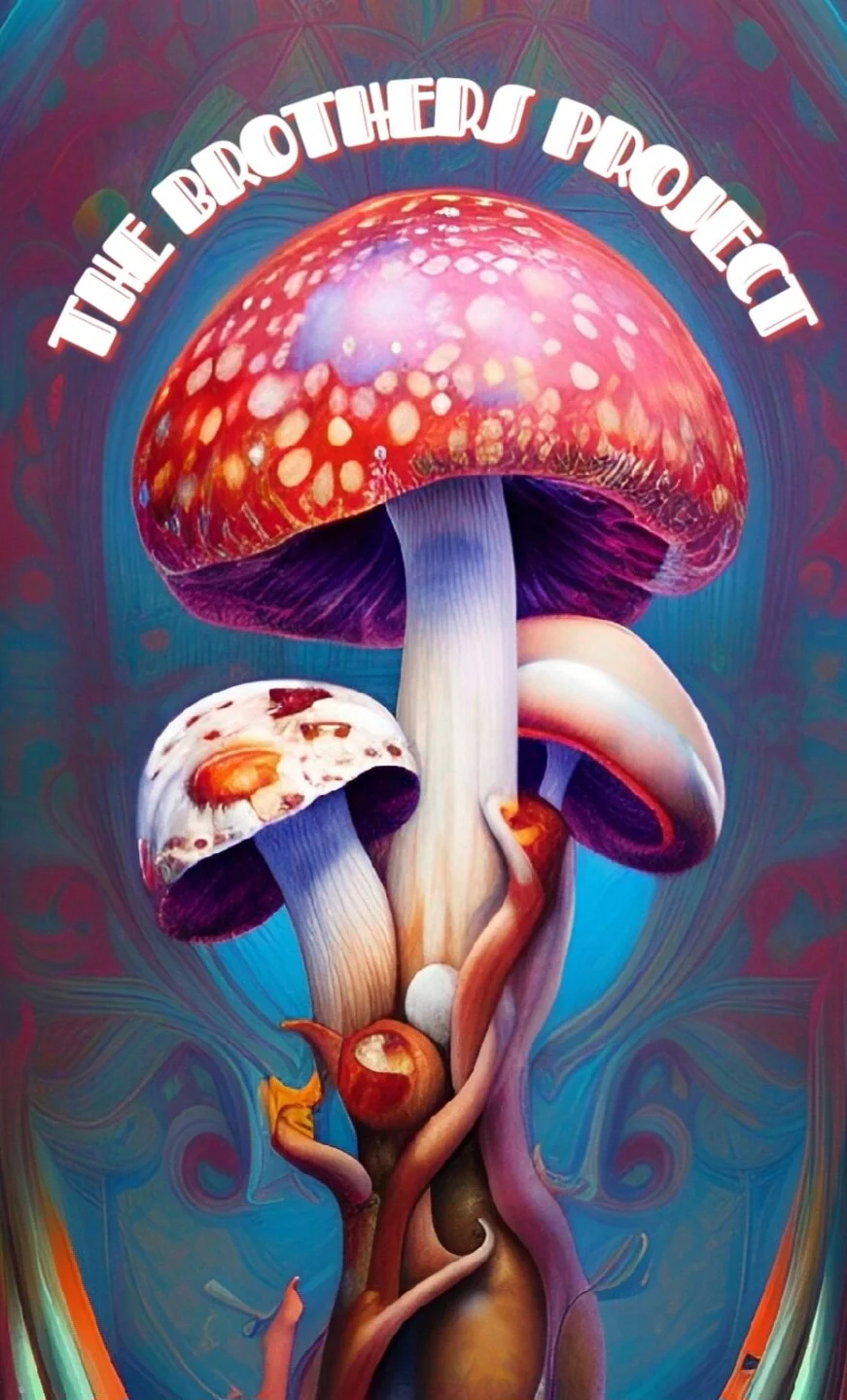 The Brothers Project