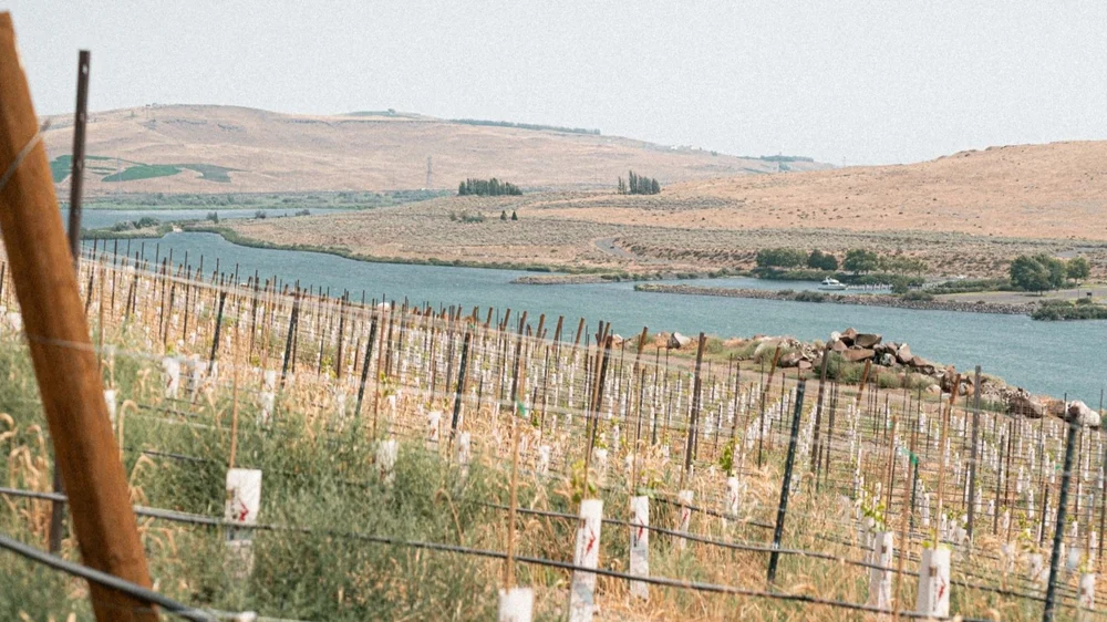 WHY THE COLUMBIA RIVER CREATES IDEAL GROWING CONDITIONS: Mark Ryan’s ...