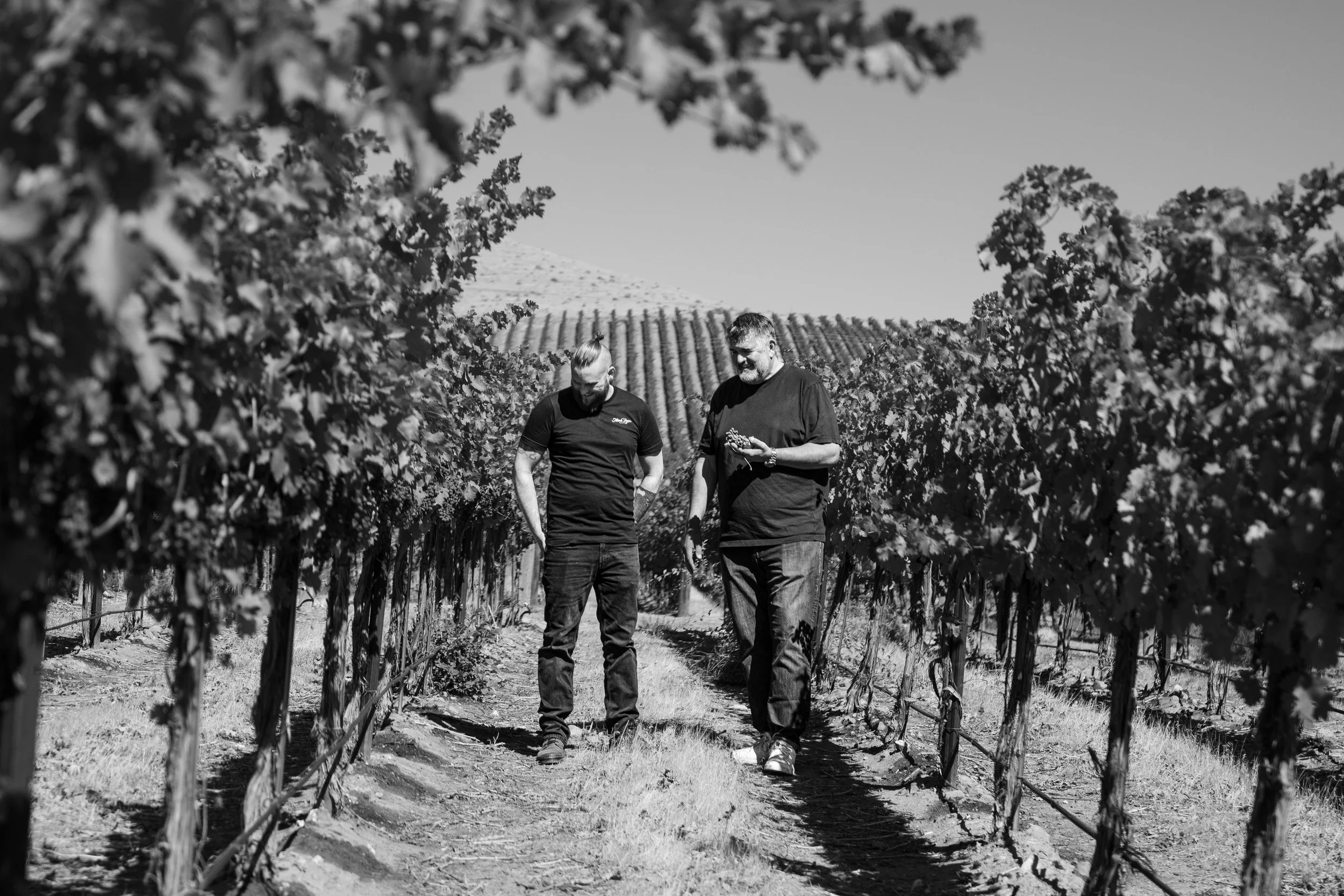 NEWS | New Releases, Events, and More — Mark Ryan Winery