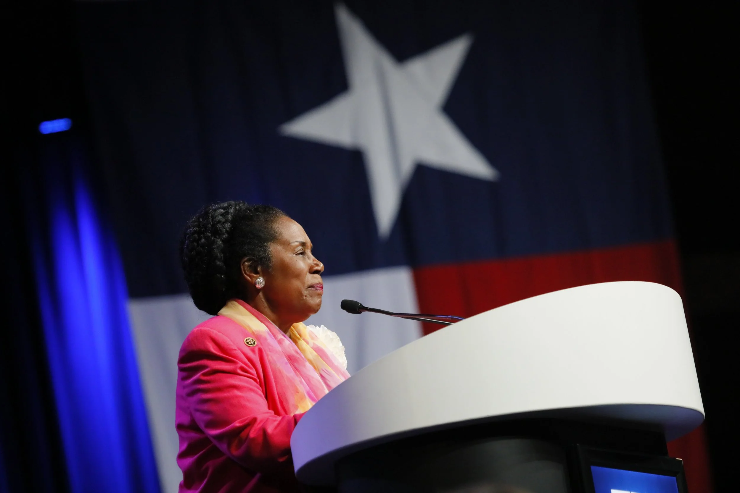 Texas Democrats Honor Houston Powerhouse Congresswoman Sheila Jackson ...