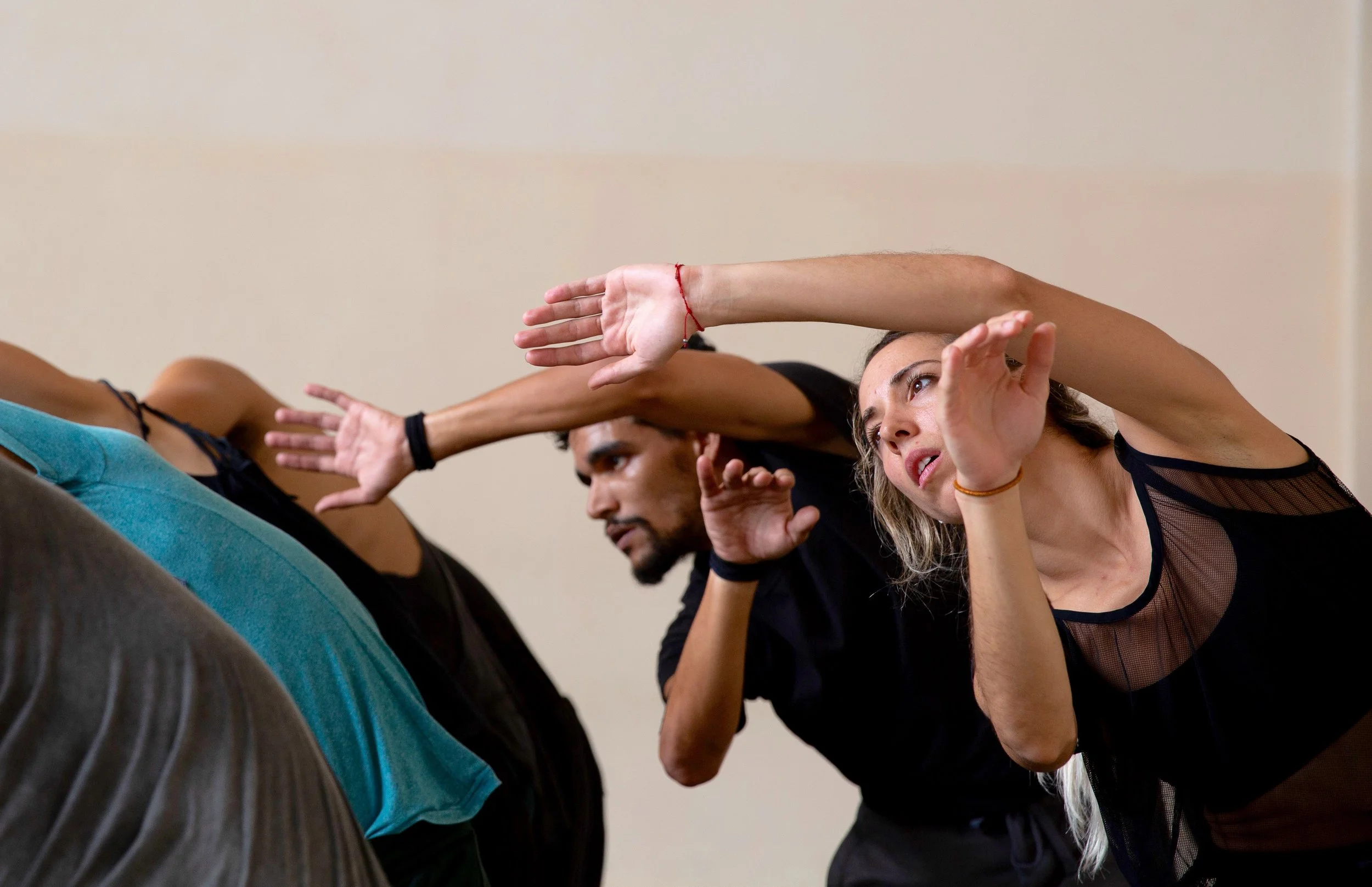 About — Laura Diffenderfer, Artist