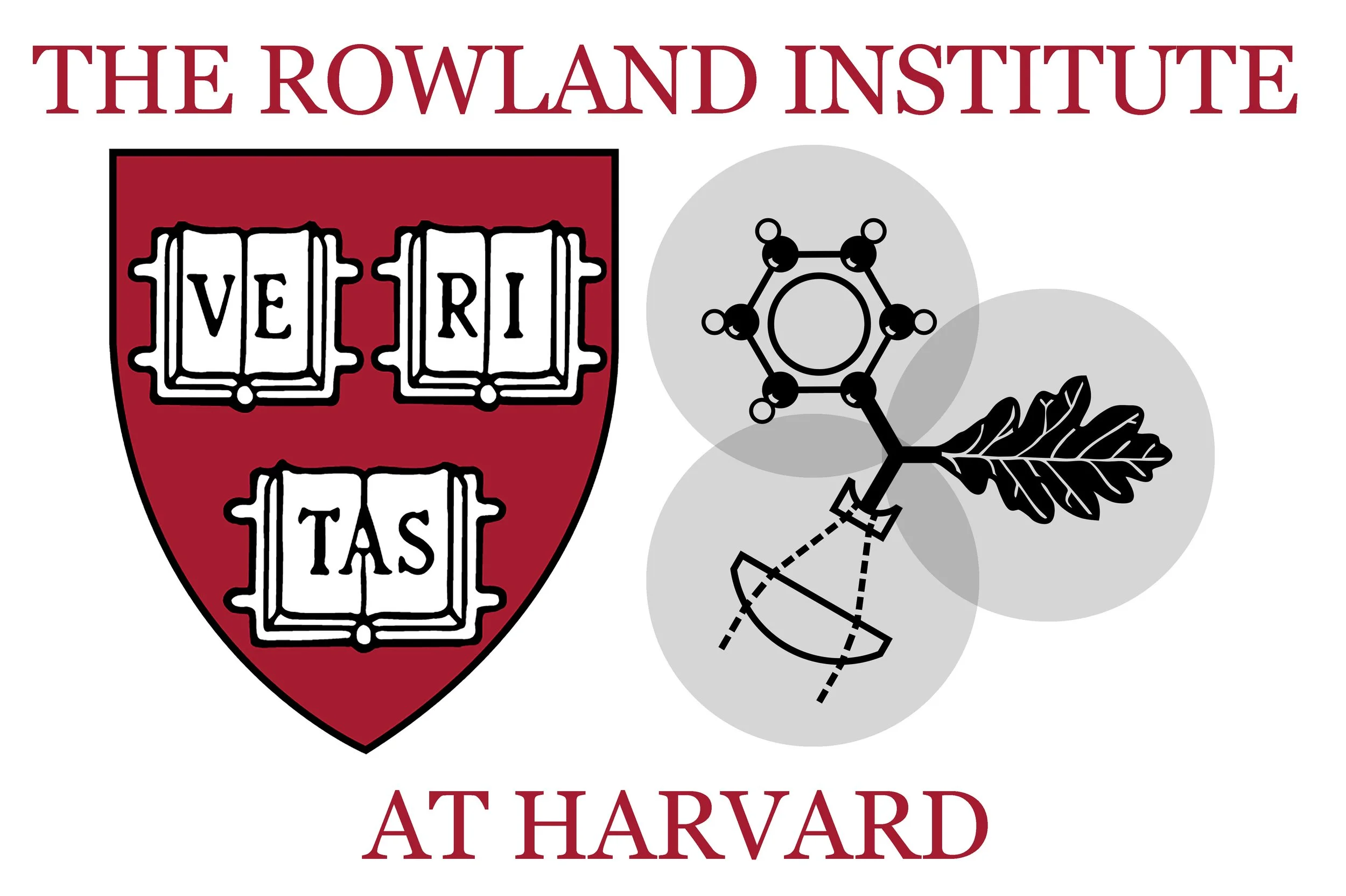 Research — Feldmann Lab at Harvard