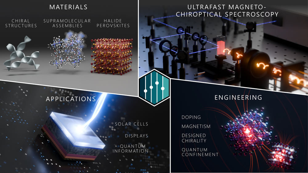 Research — Feldmann Lab at Harvard