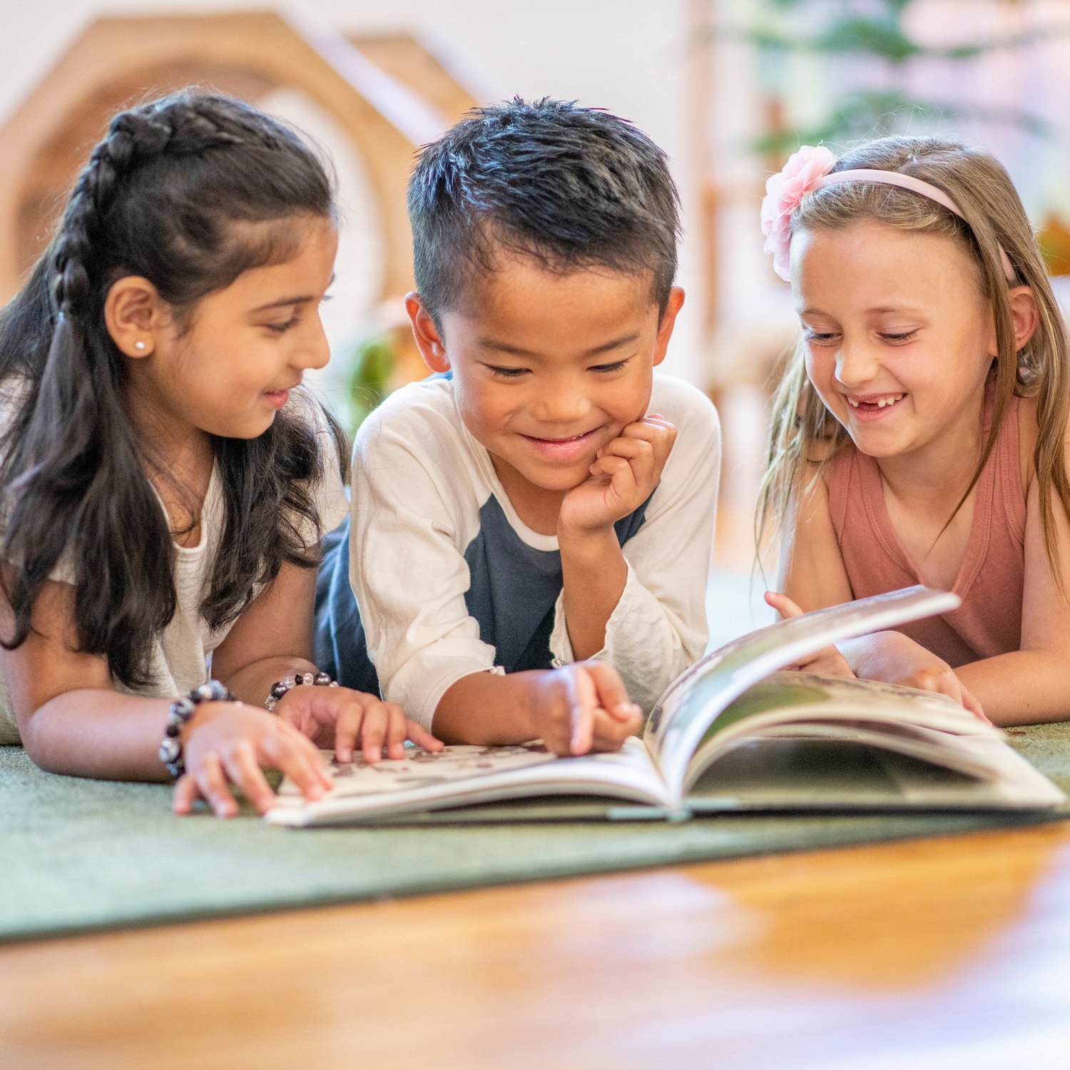 The Friends of Truckee Library
