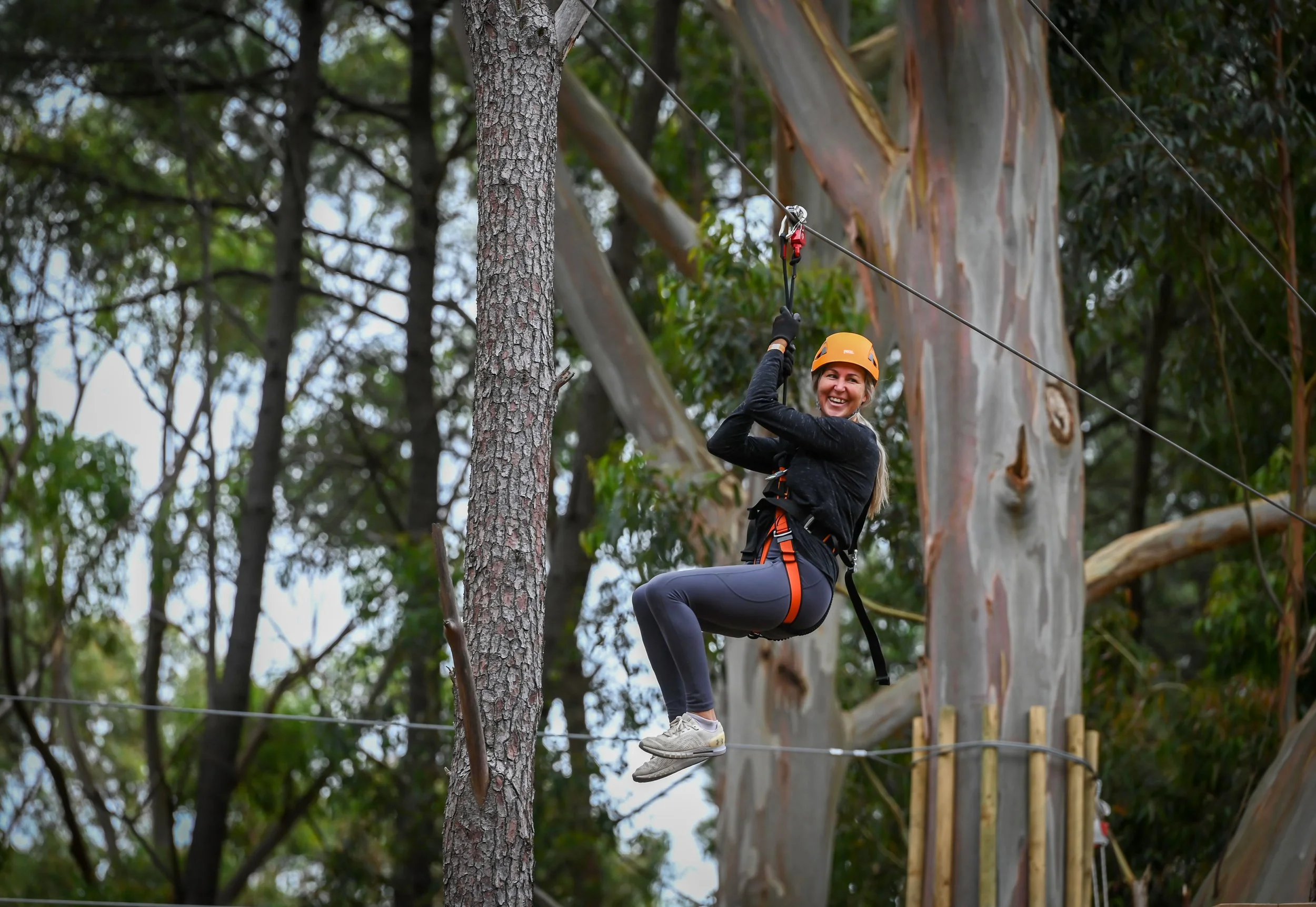 Experiences | Explore Thrilling Adventures — TreeClimb