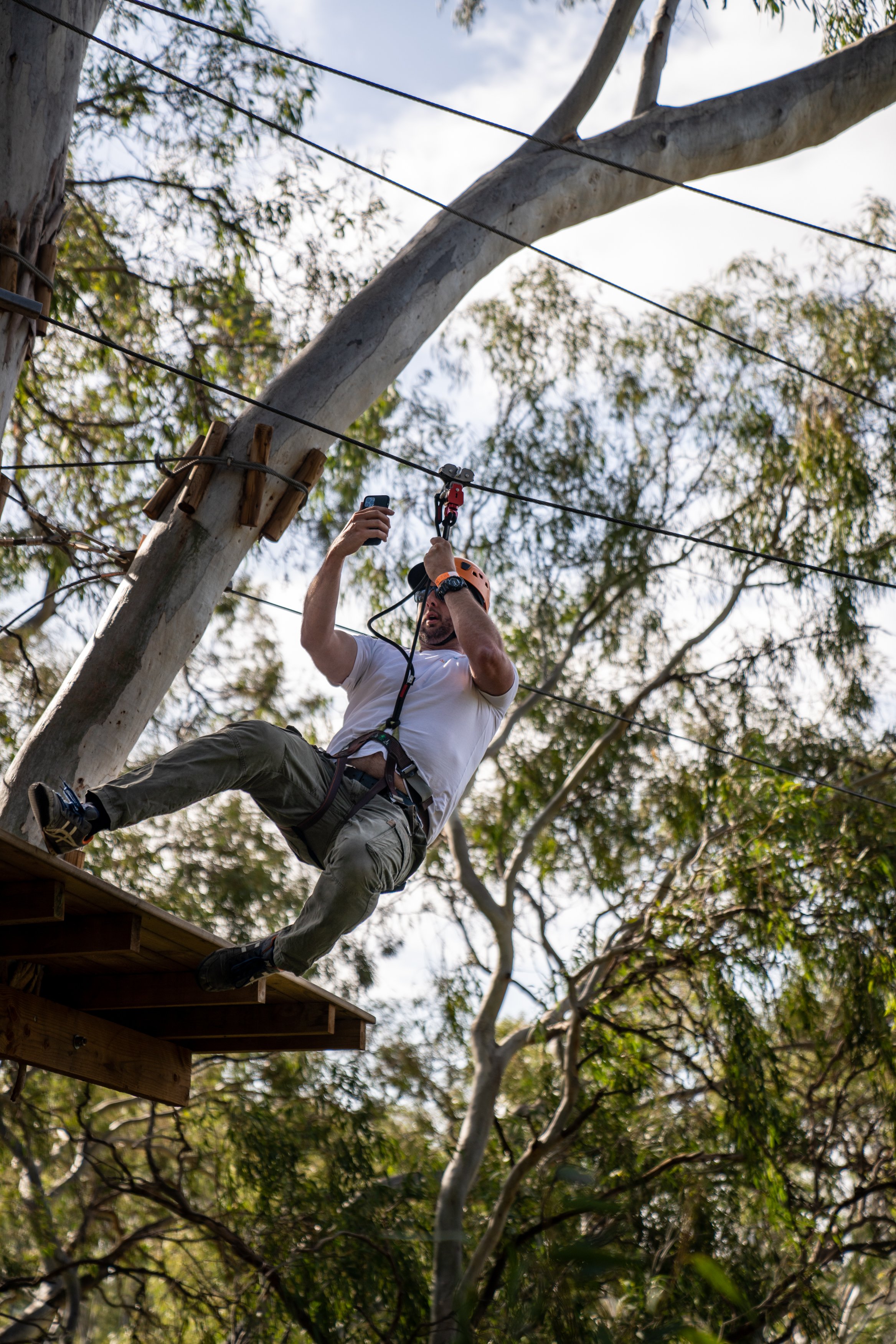 Experiences — TreeClimb